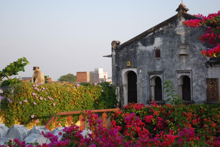 Rawla Narlai Luxury Heritage Hotel | Indagare Travel