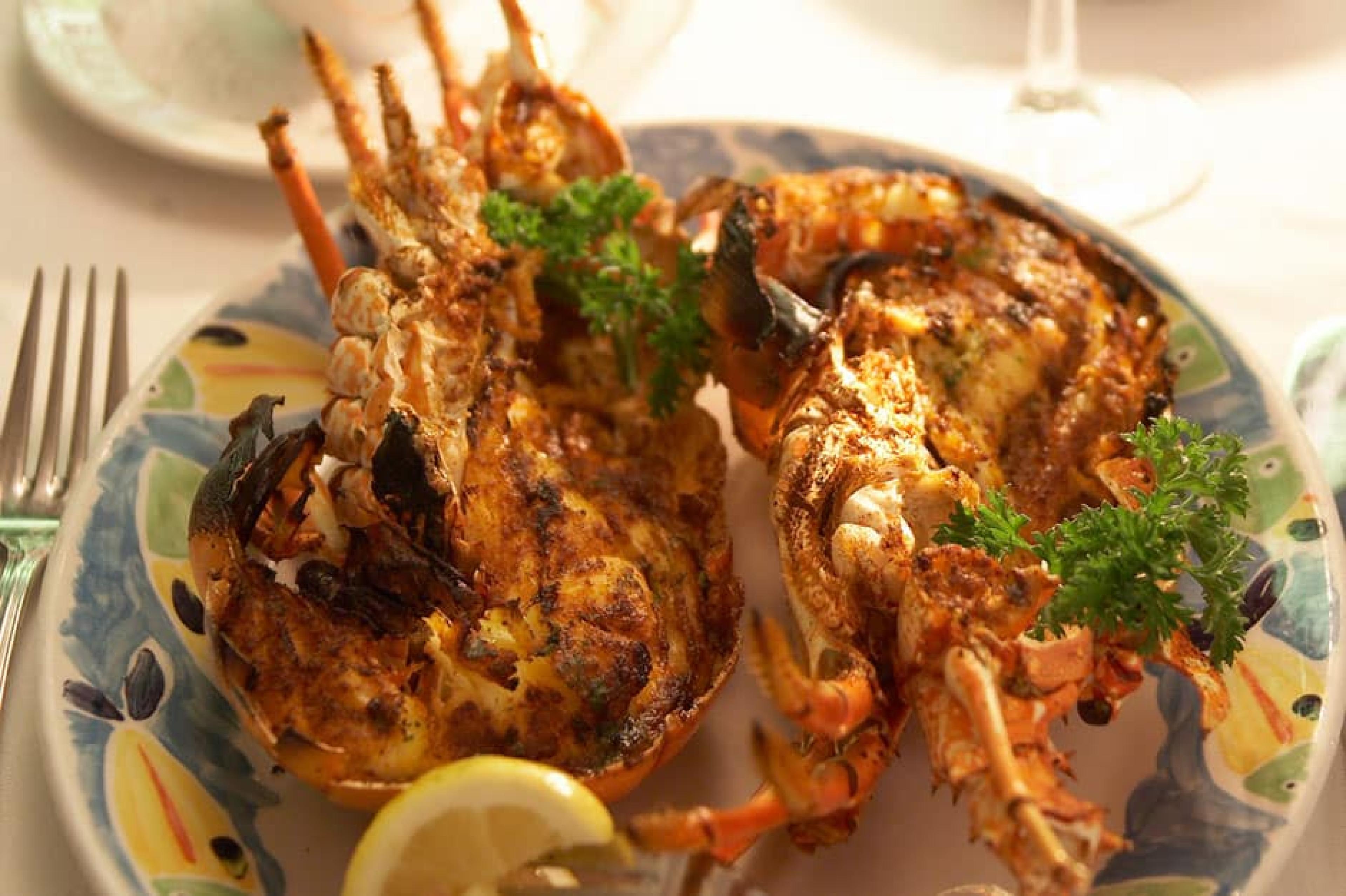 Best Anguilla Restaurants | Curated Dining by Indagare