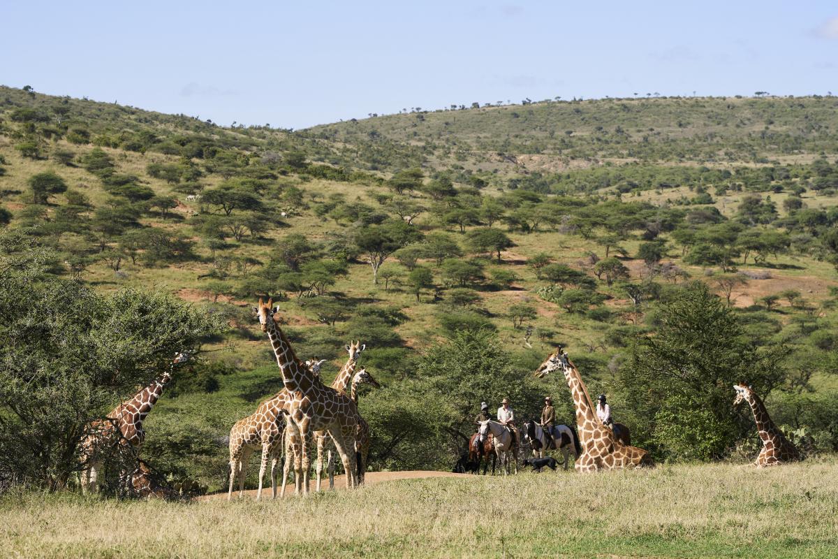 The Indagare Team’s Top Trips of 2025: Notes from the Road