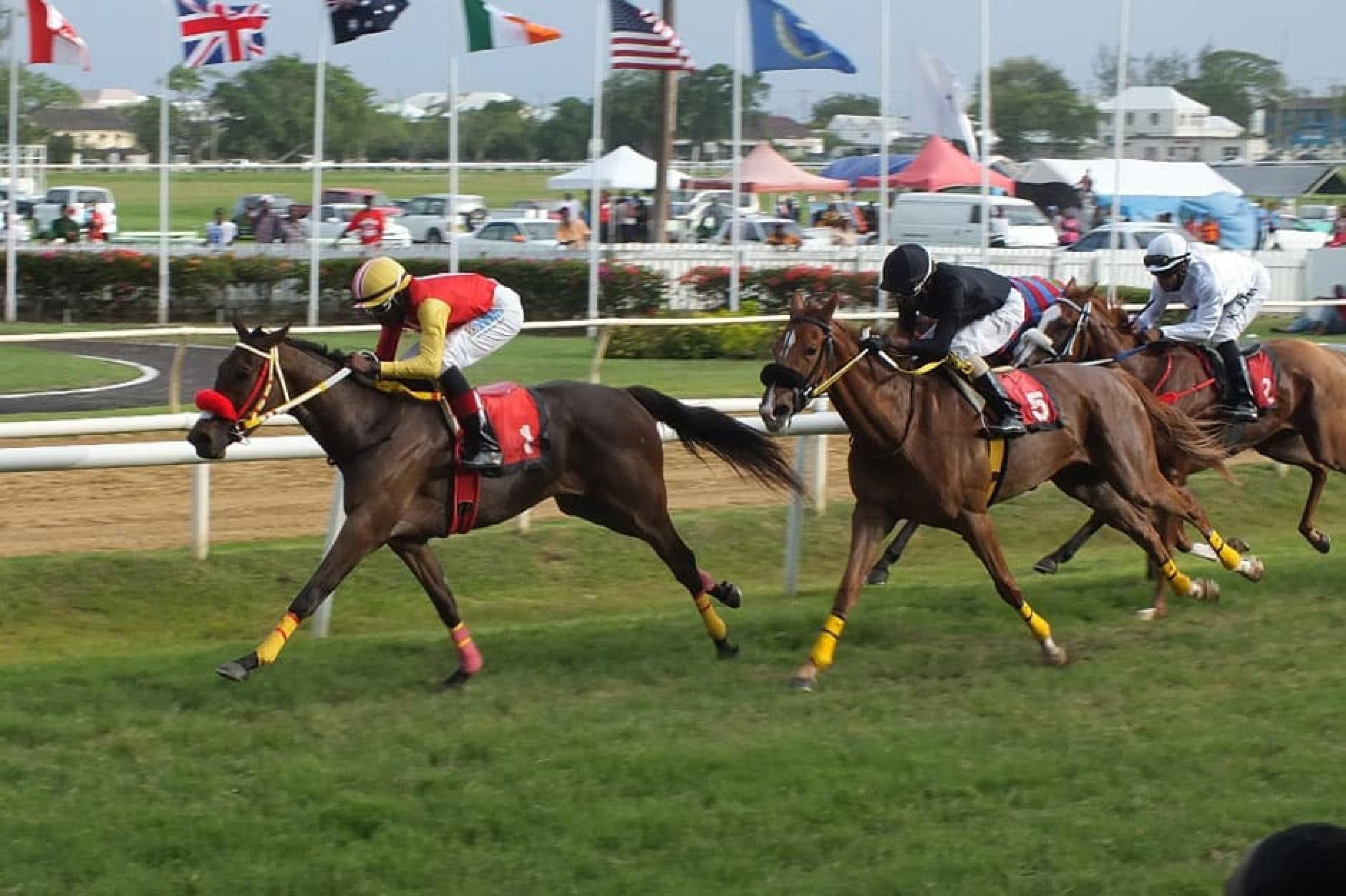 Things to Do In Barbados