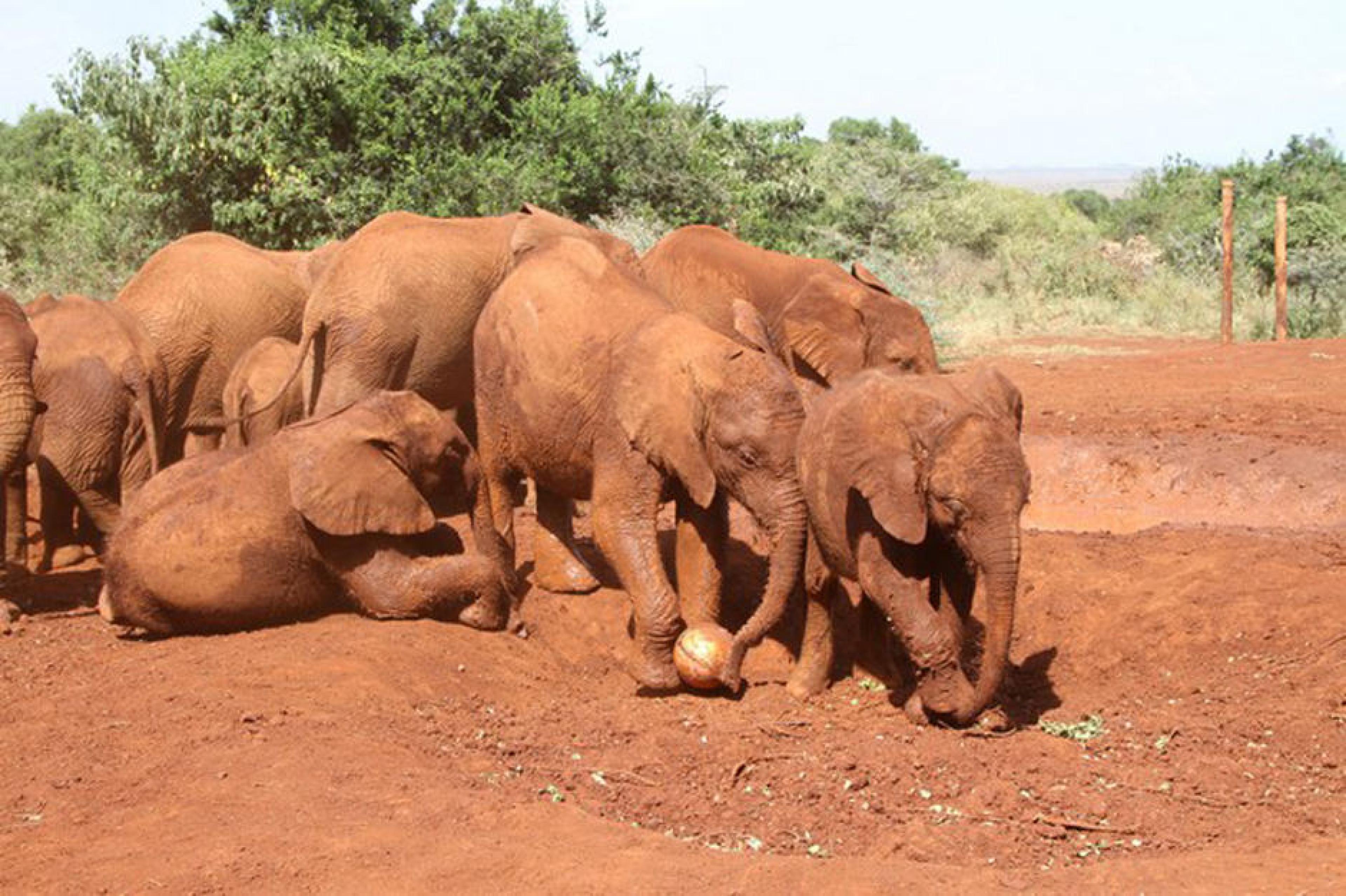 Things to Do In Kenya