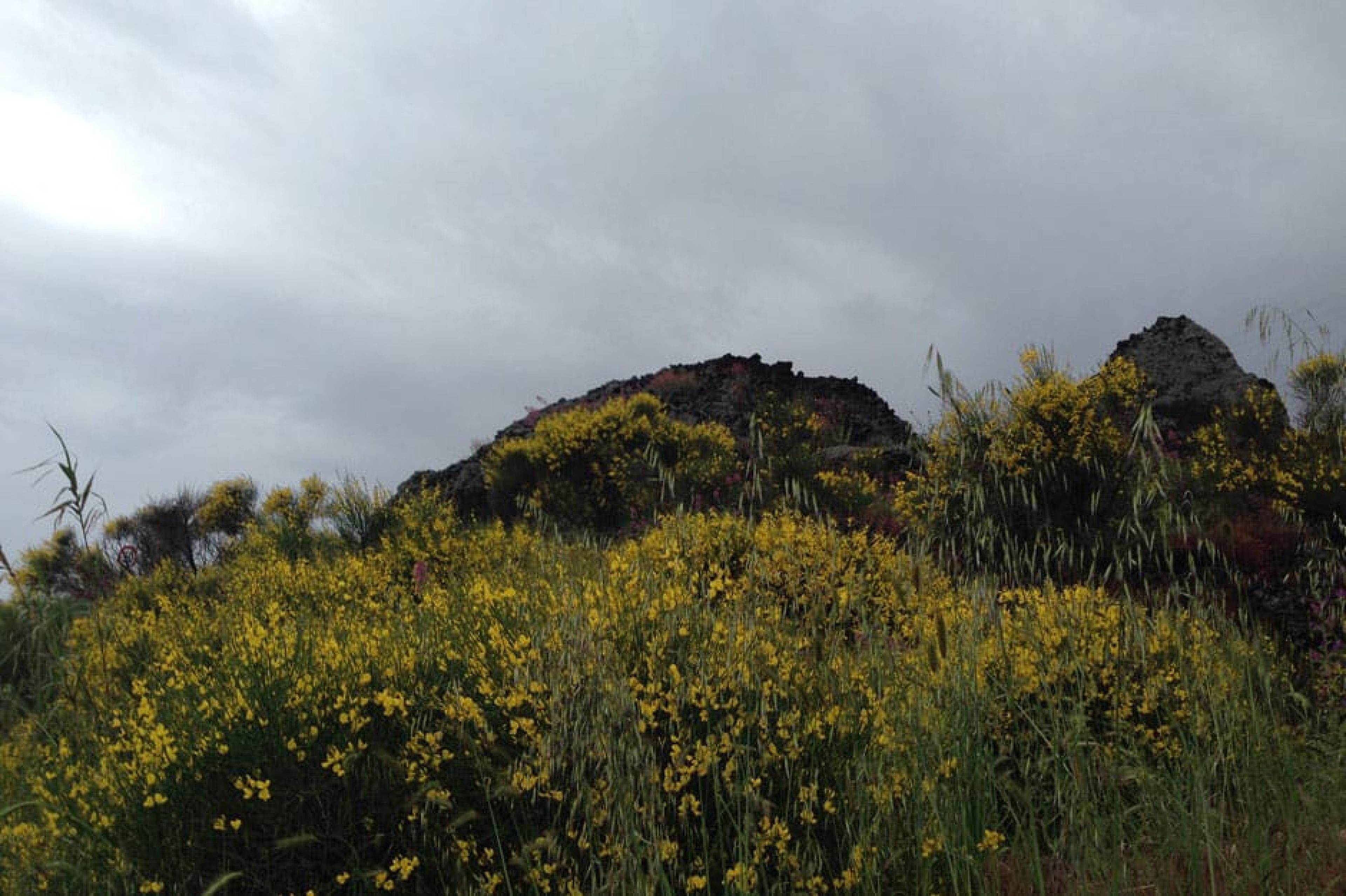 Things to Do In Sicily | Top Attractions Curated by Indagare