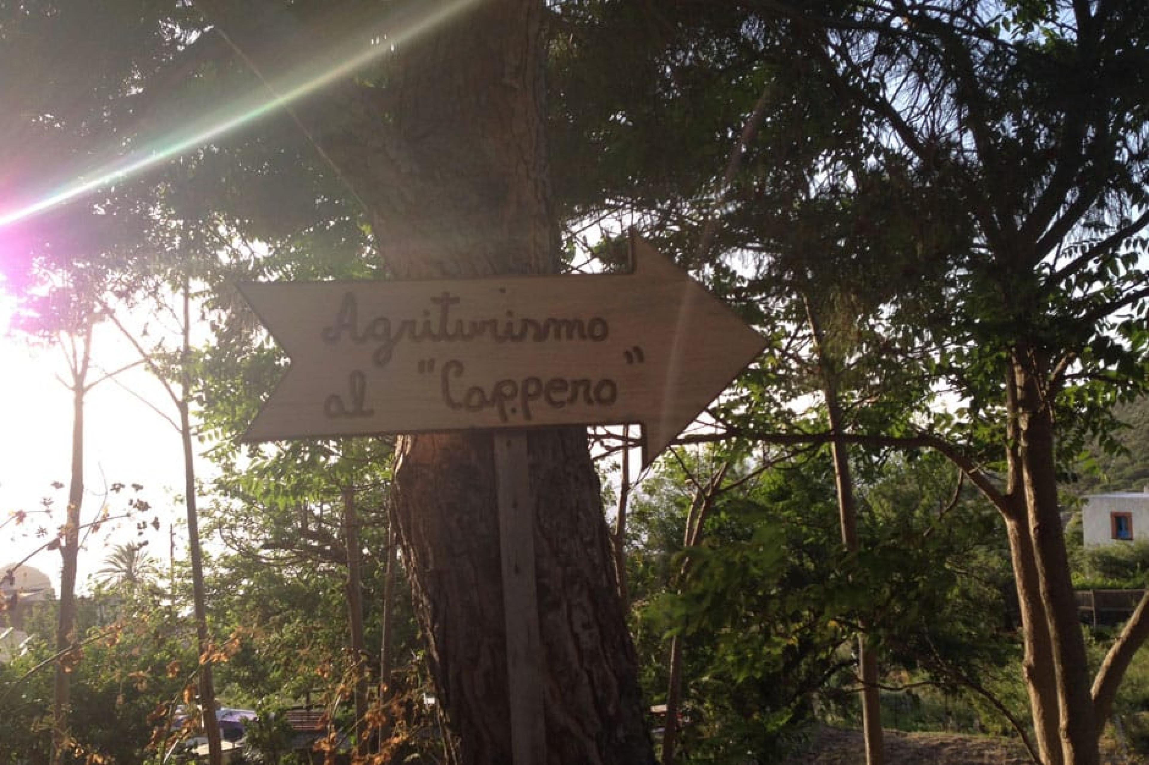 Best Aeolian Islands Restaurants