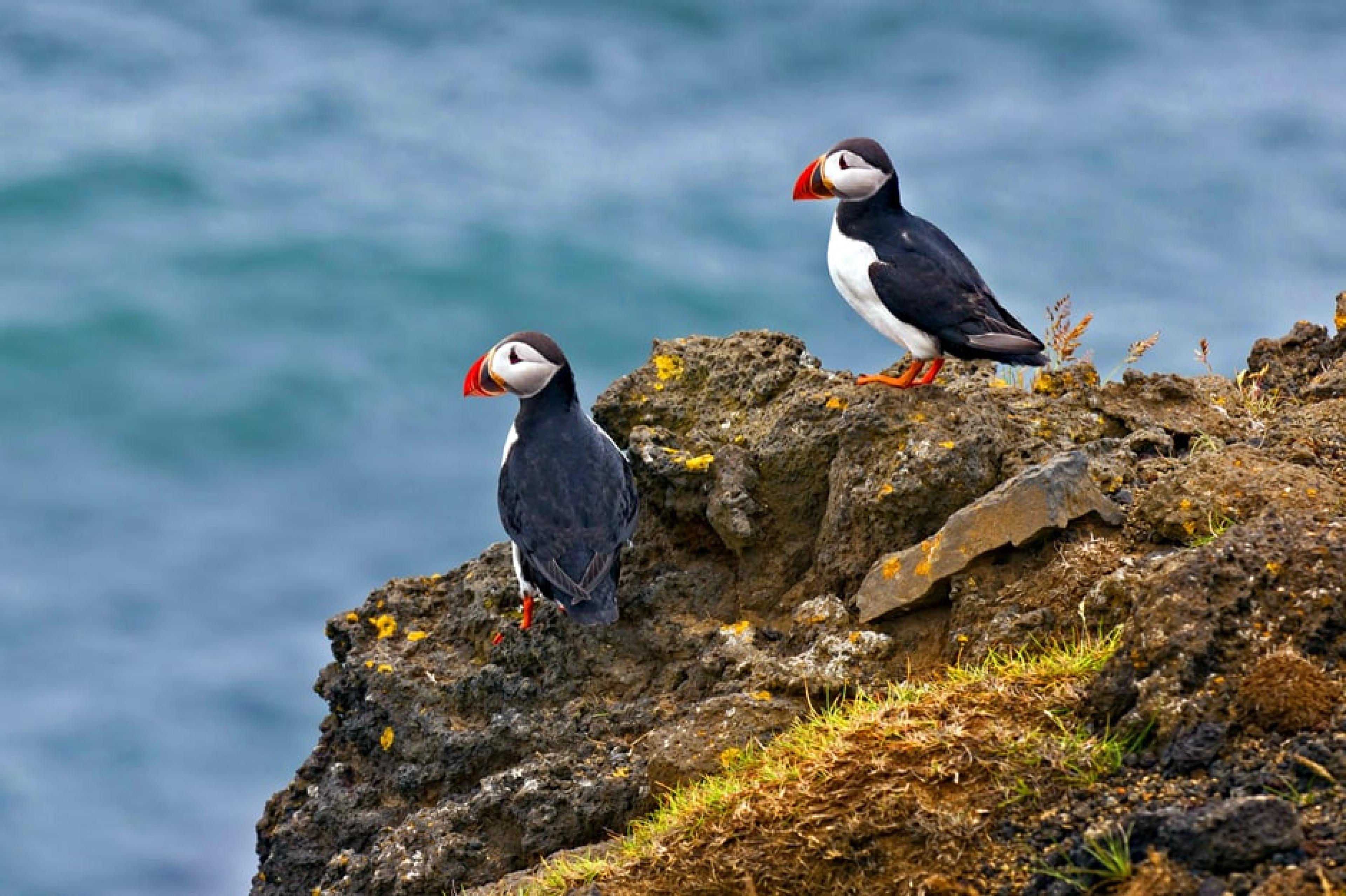 Things to Do In Iceland | Top Attractions Curated by Indagare
