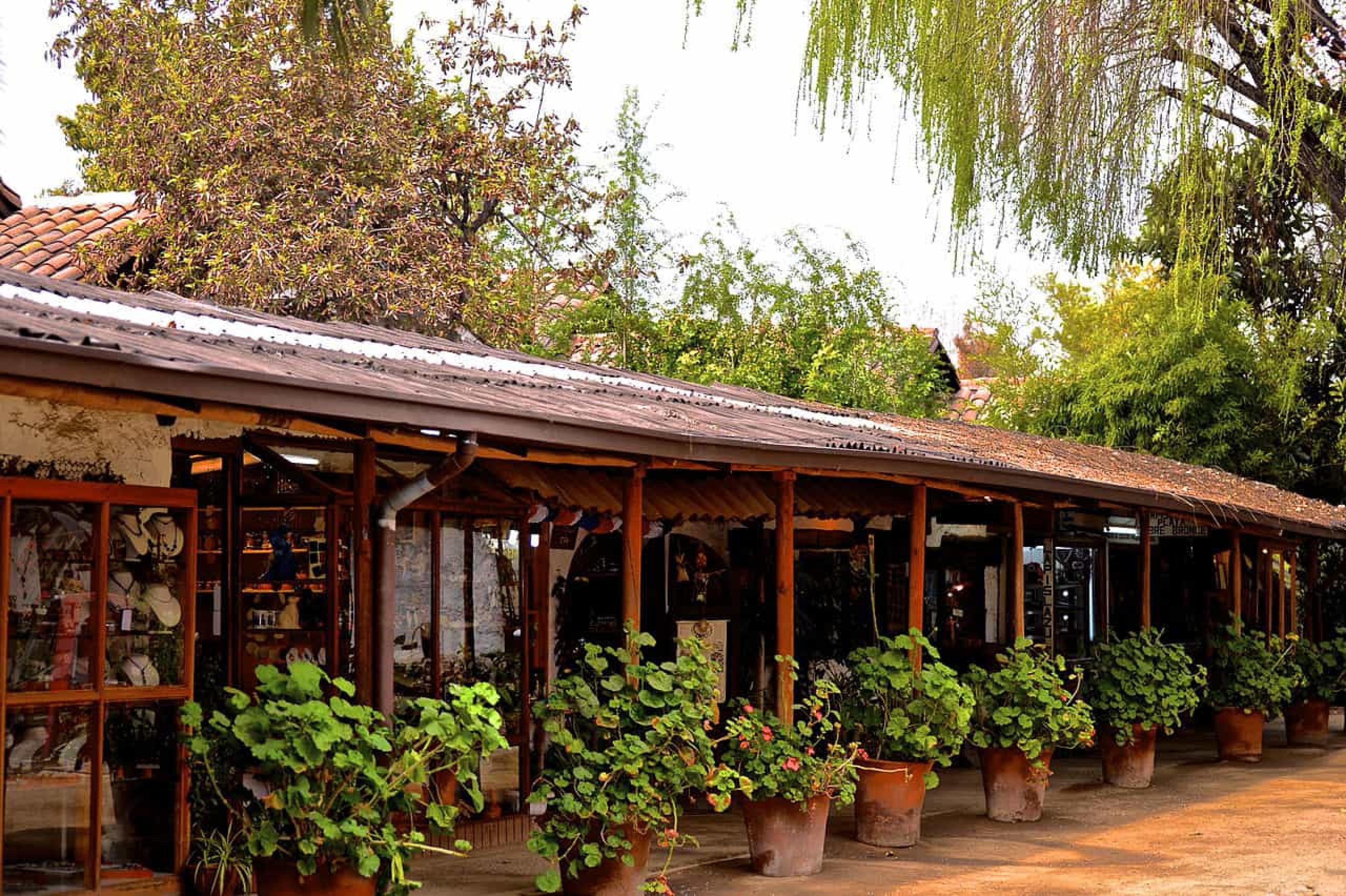 Chile Shopping Guide | Best Stores Curated by Indagare