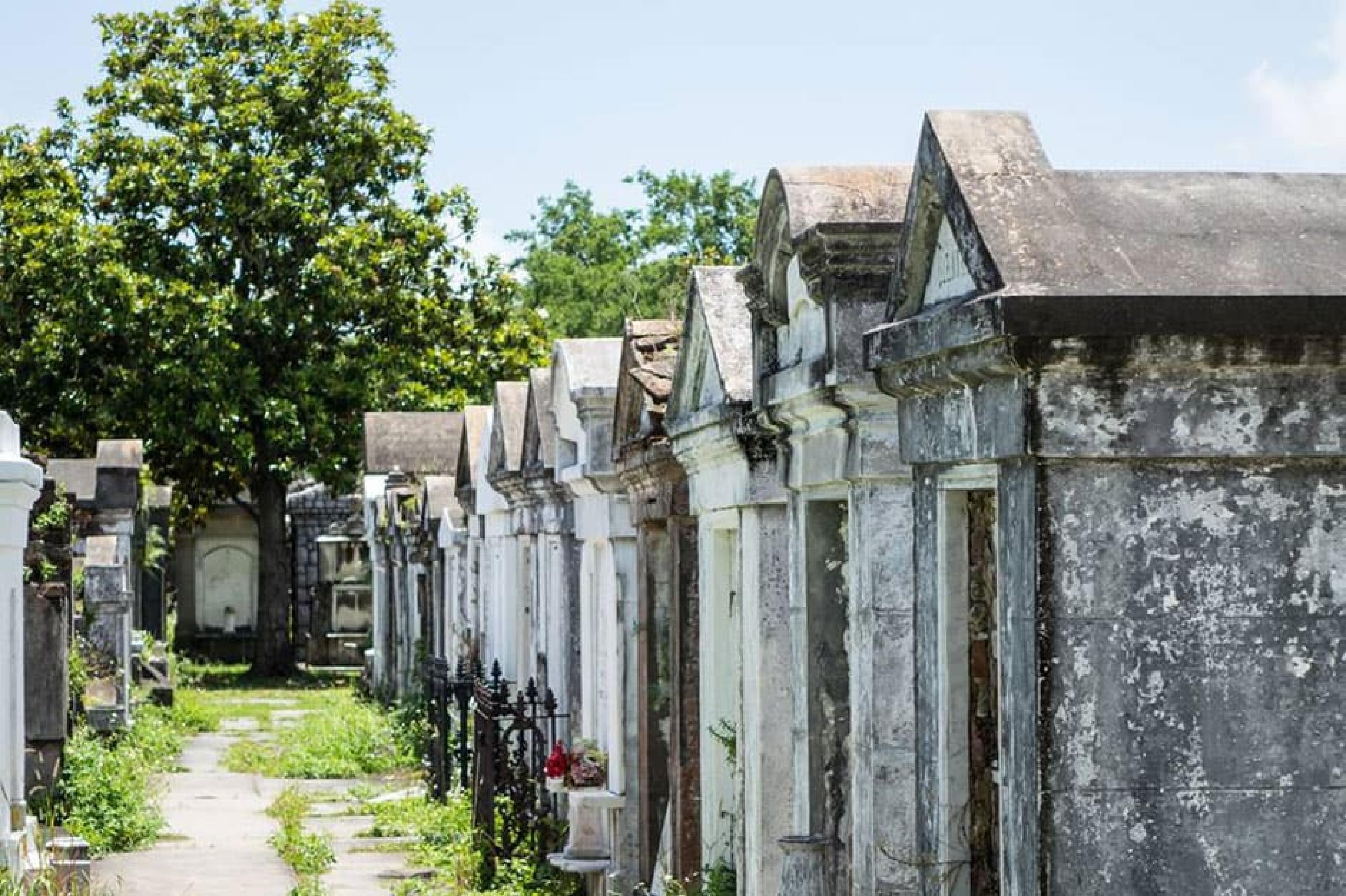 Things to Do In New Orleans