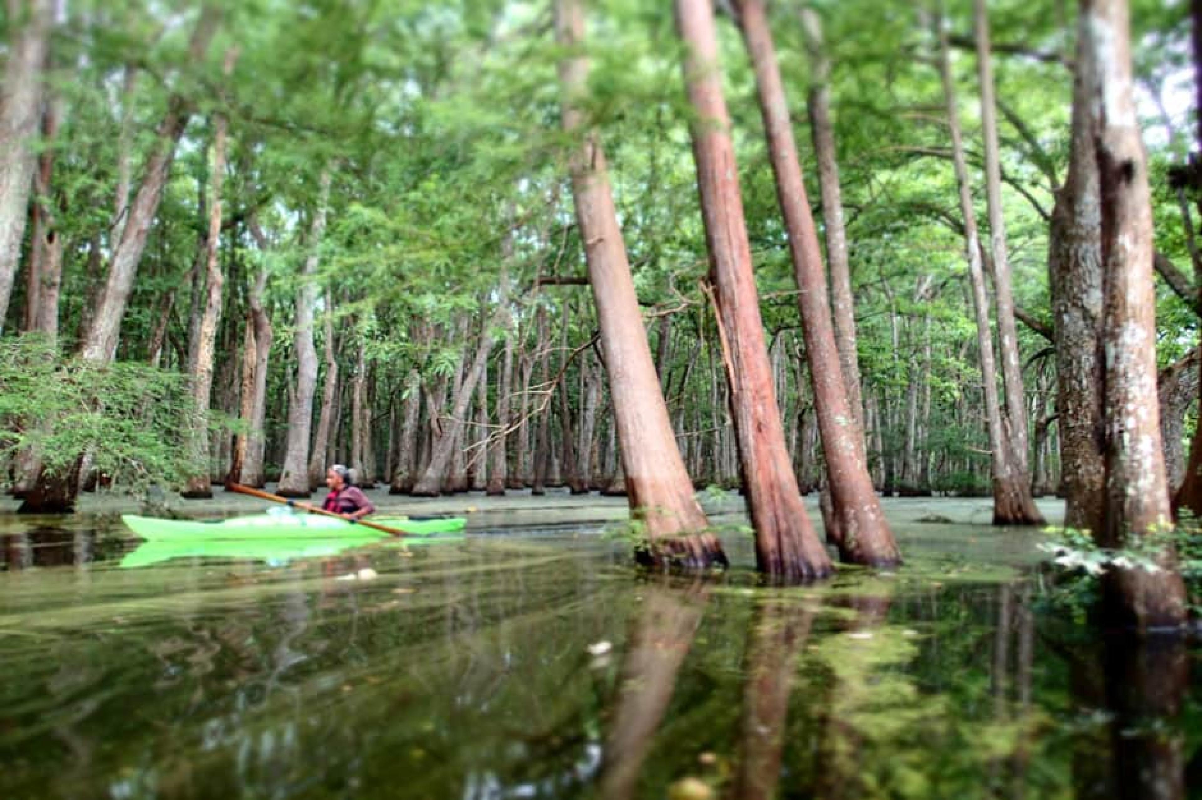 Things to Do In Savannah | Top Attractions Curated by Indagare