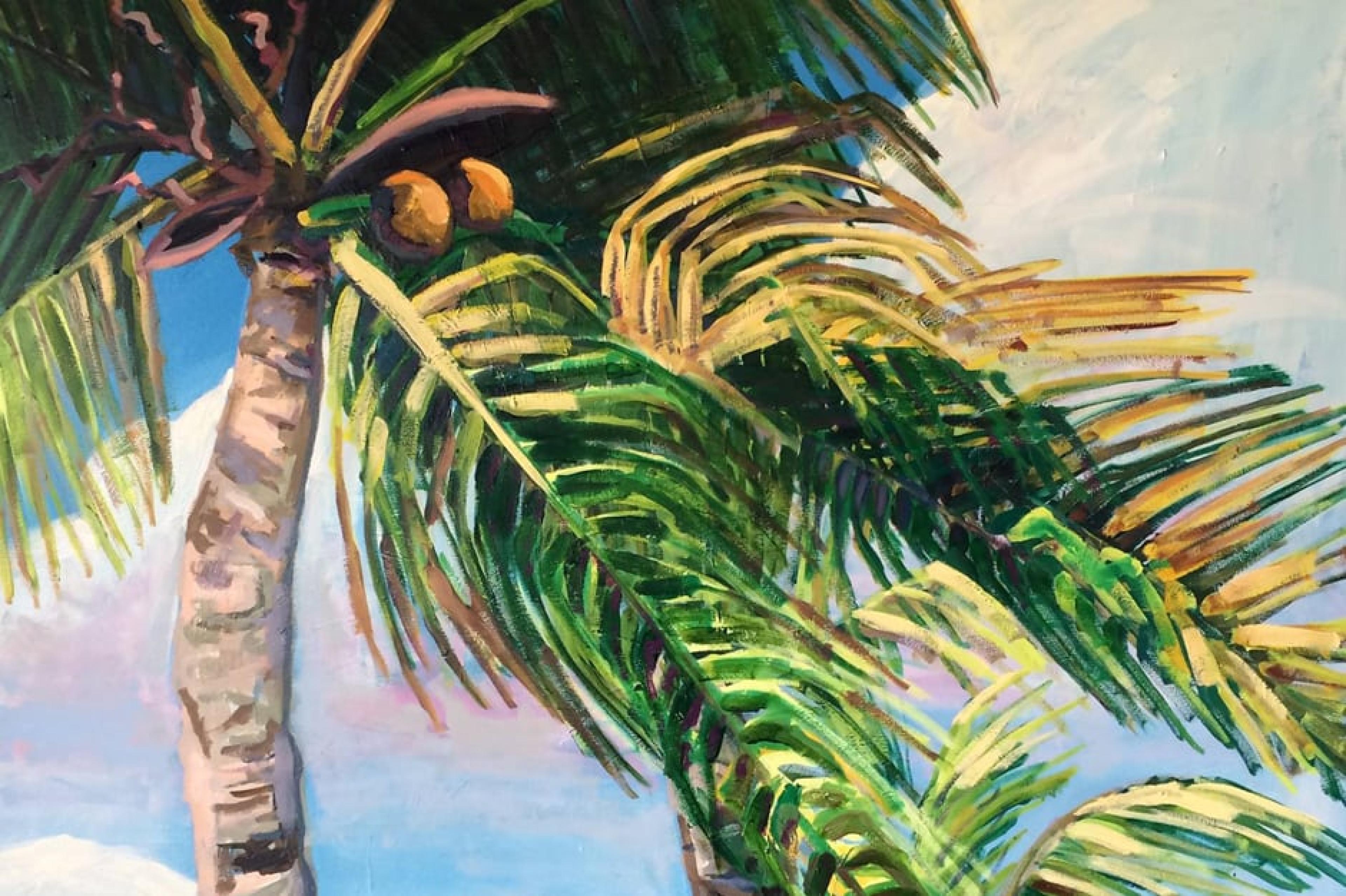 Things to Do In Vieques