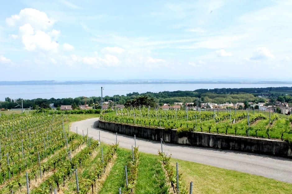 Neuchâtel Day Trip
