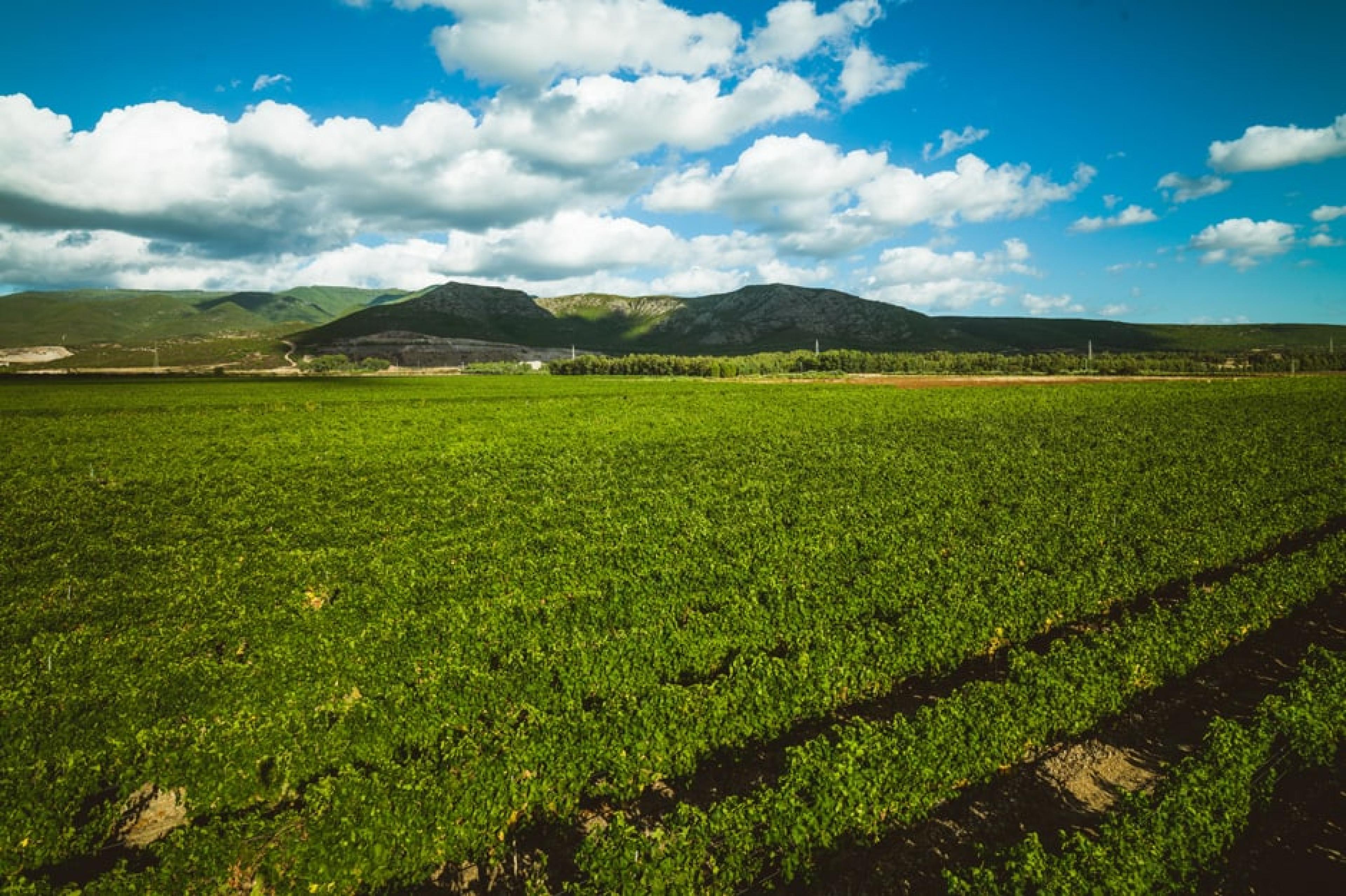 Things to Do In Italy