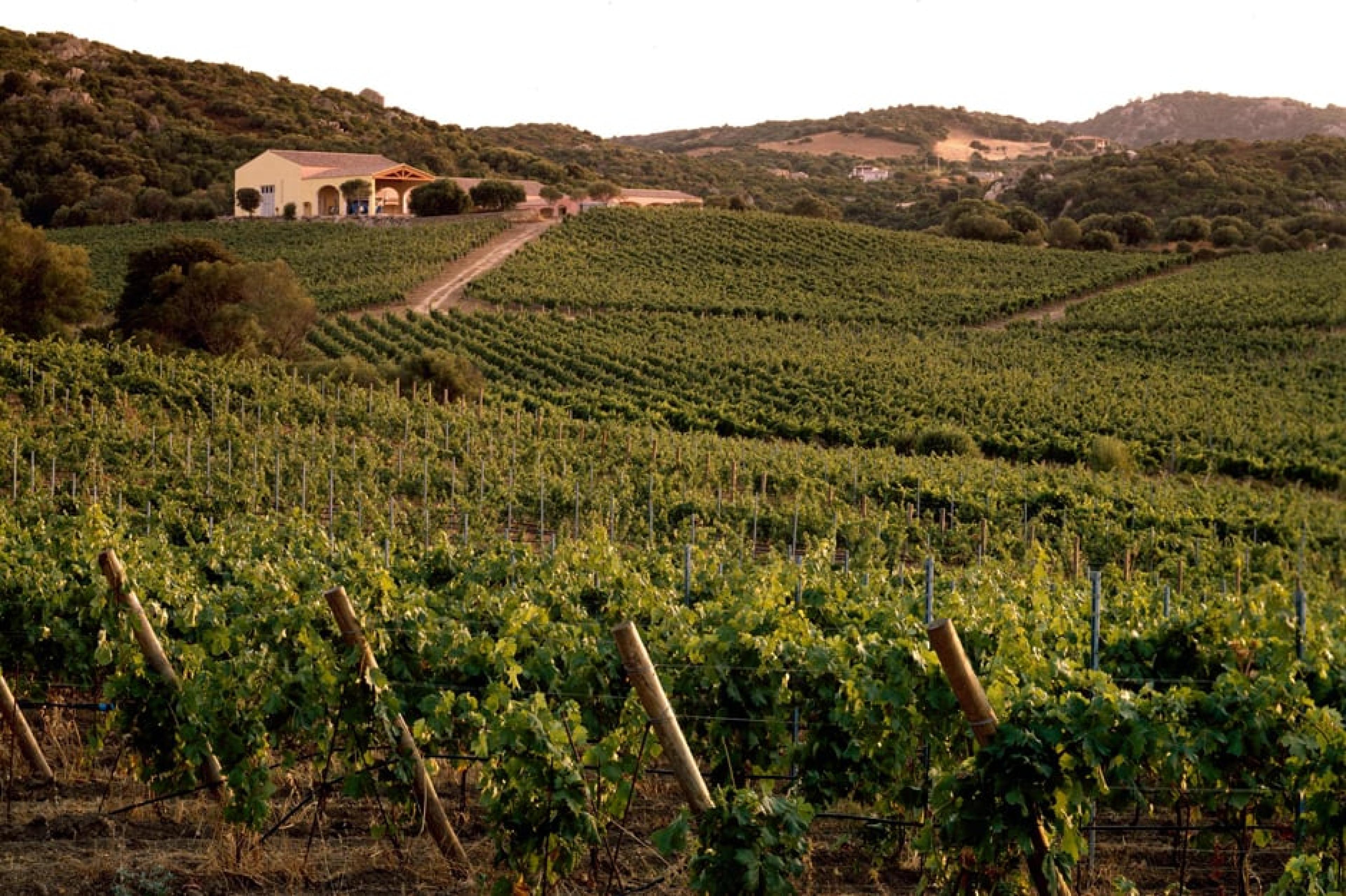 Things to Do In Sardinia