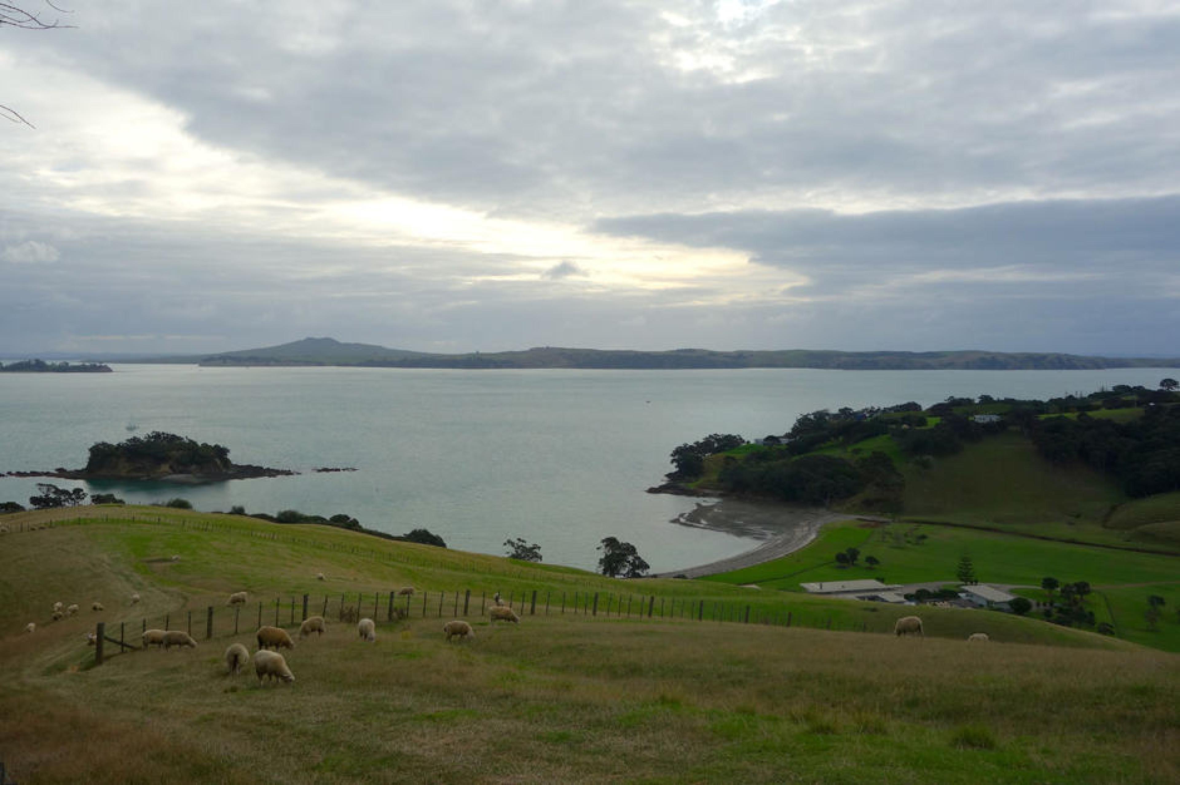 Things to Do In Auckland