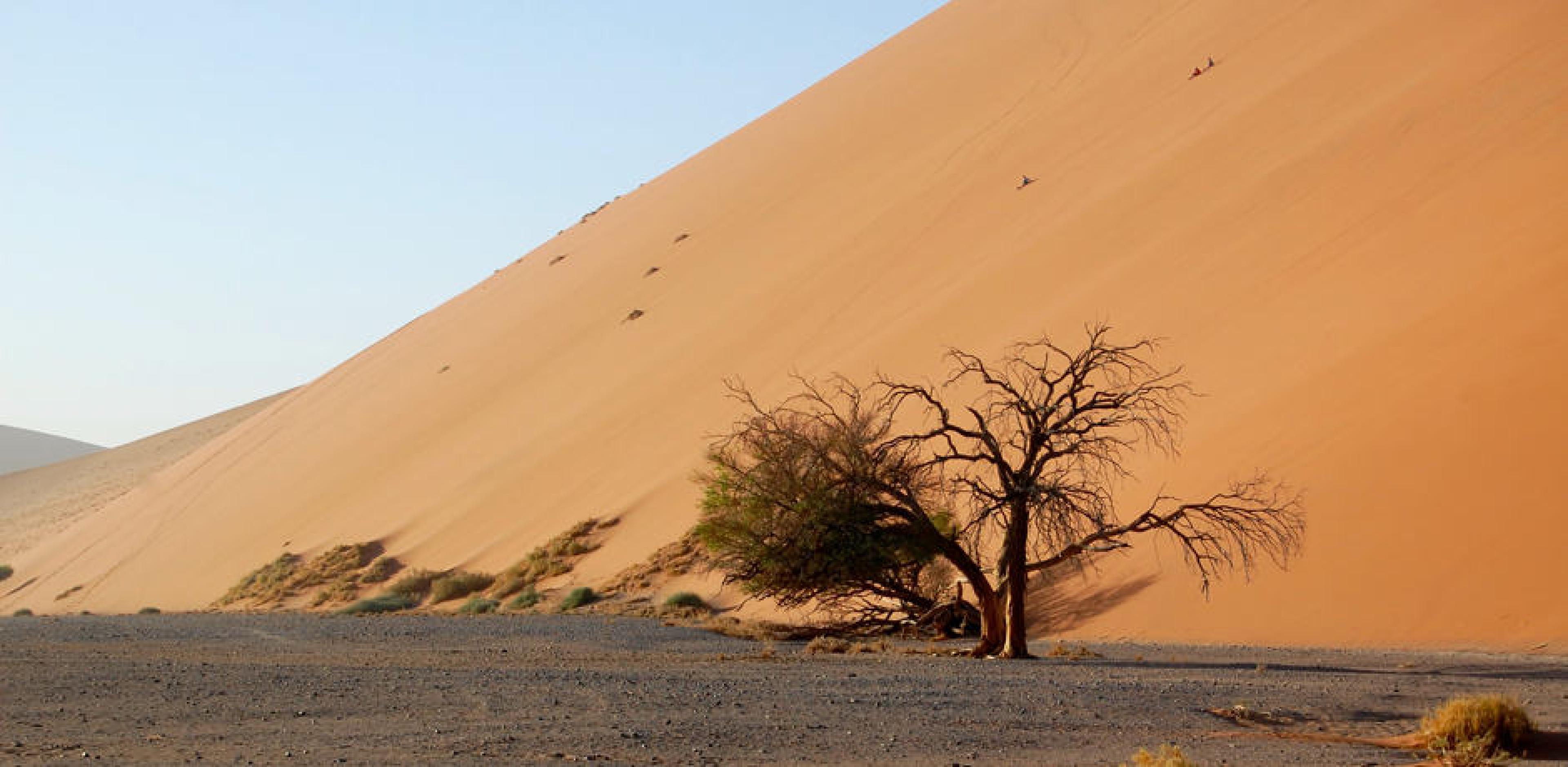 Namibia Inspiration: Best Places to Stay, Eat and Explore
