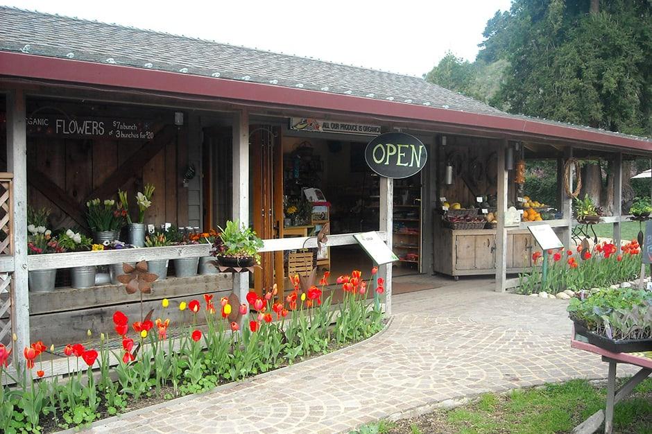 Earthbound Farm Stand