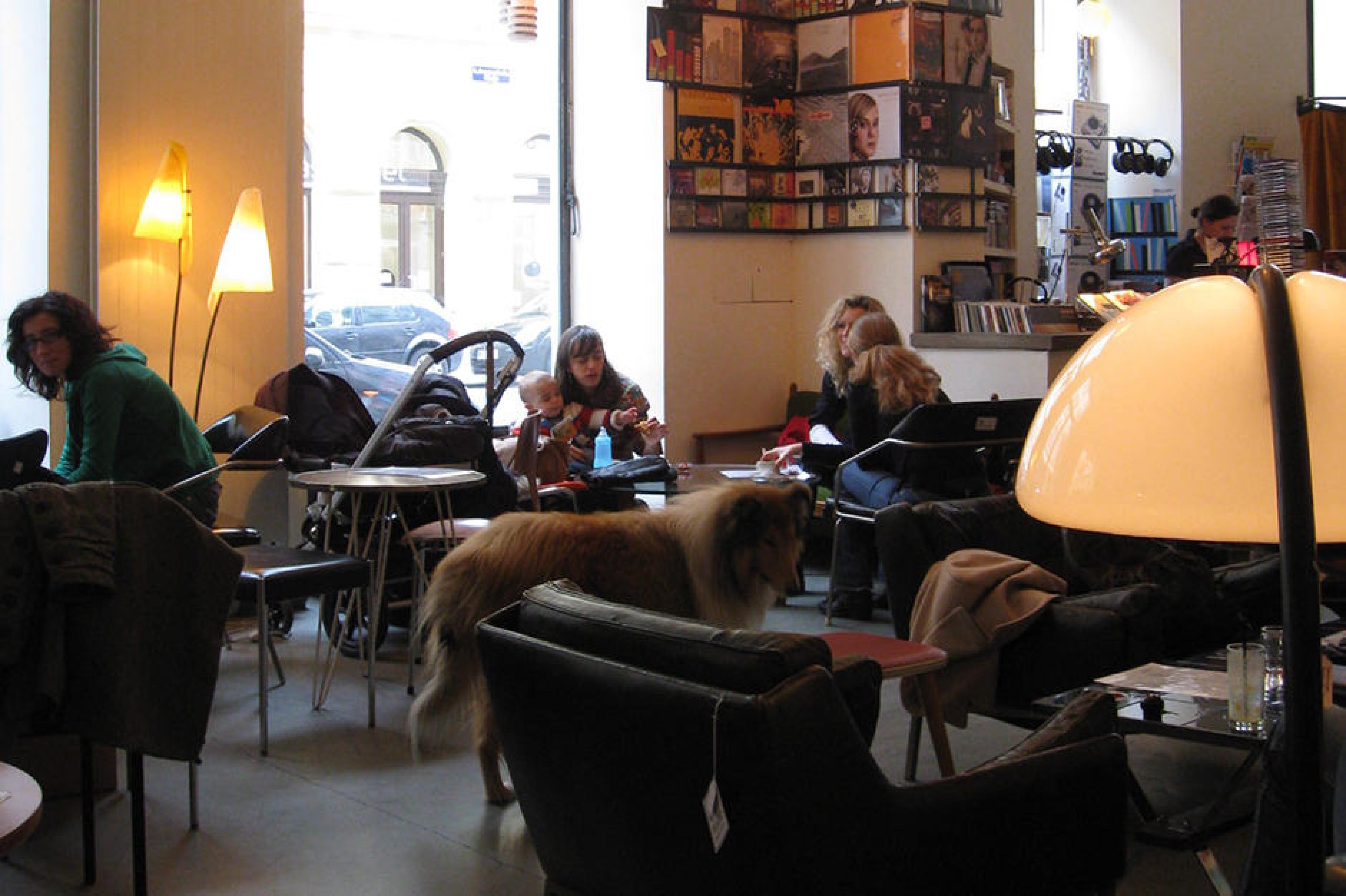 Best Vienna Restaurants