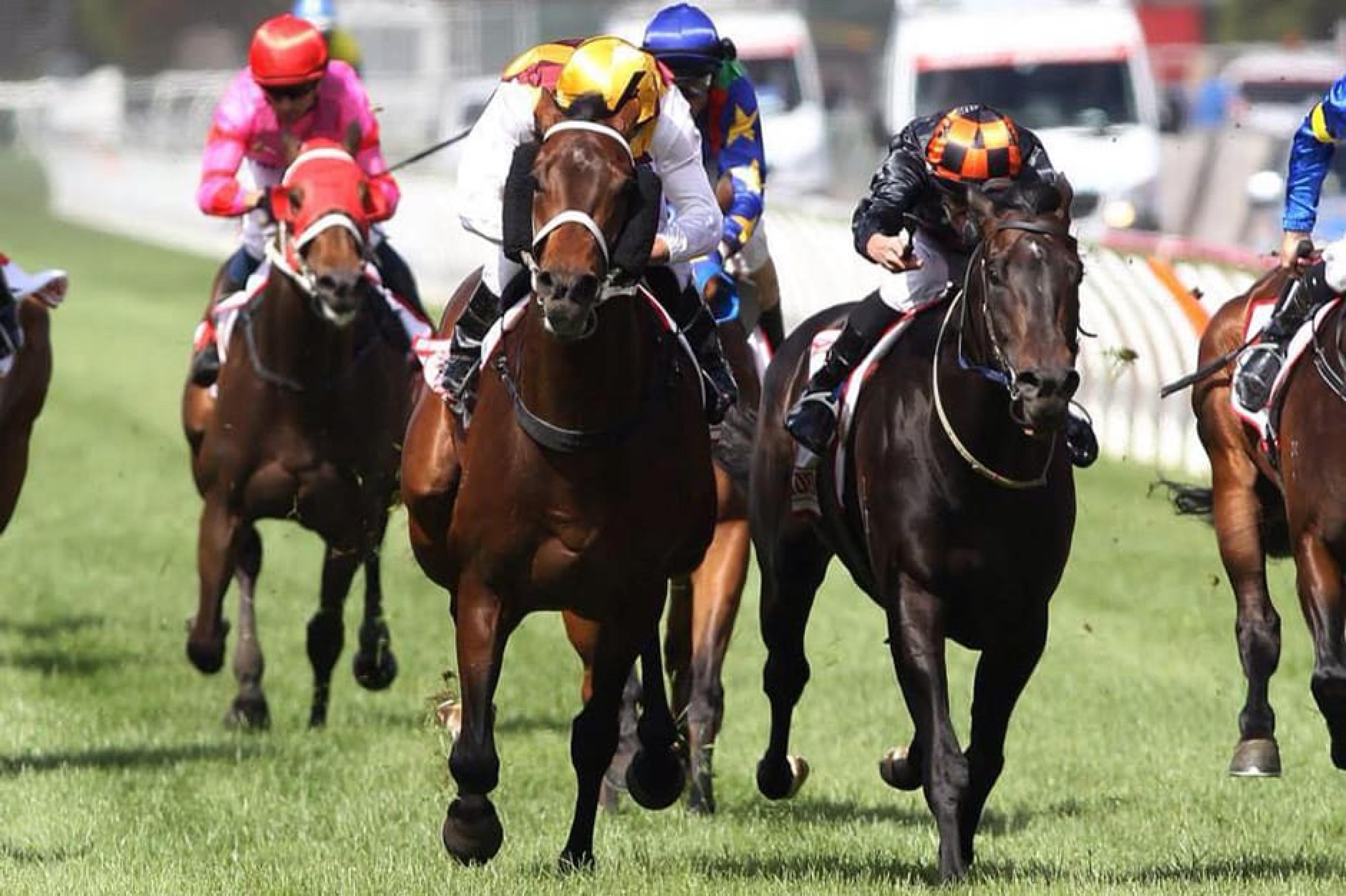 Things to Do In Melbourne