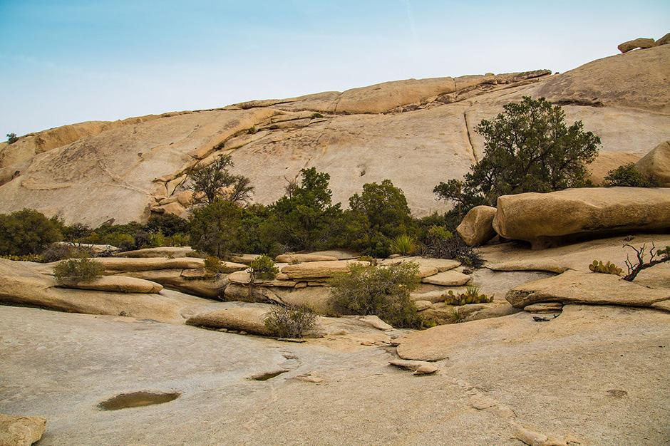 Joshua Tree National Park