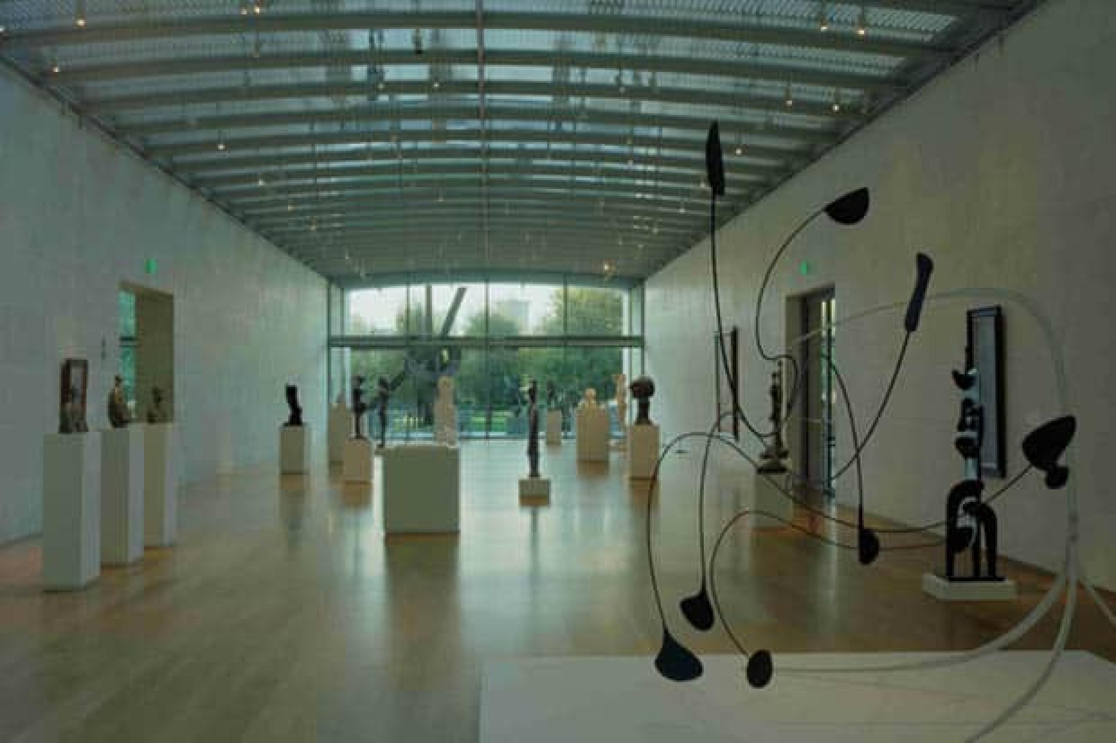 Things to Do In Dallas