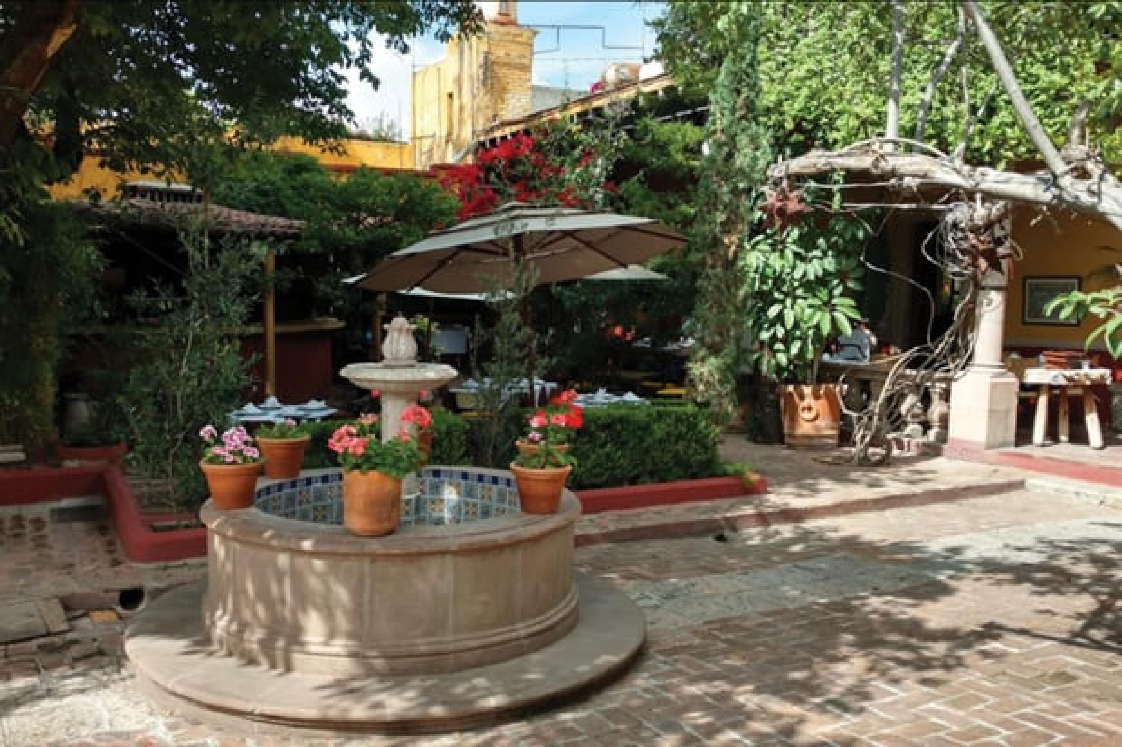 Best San Miguel de Allende Restaurants | Curated Dining by Indagare