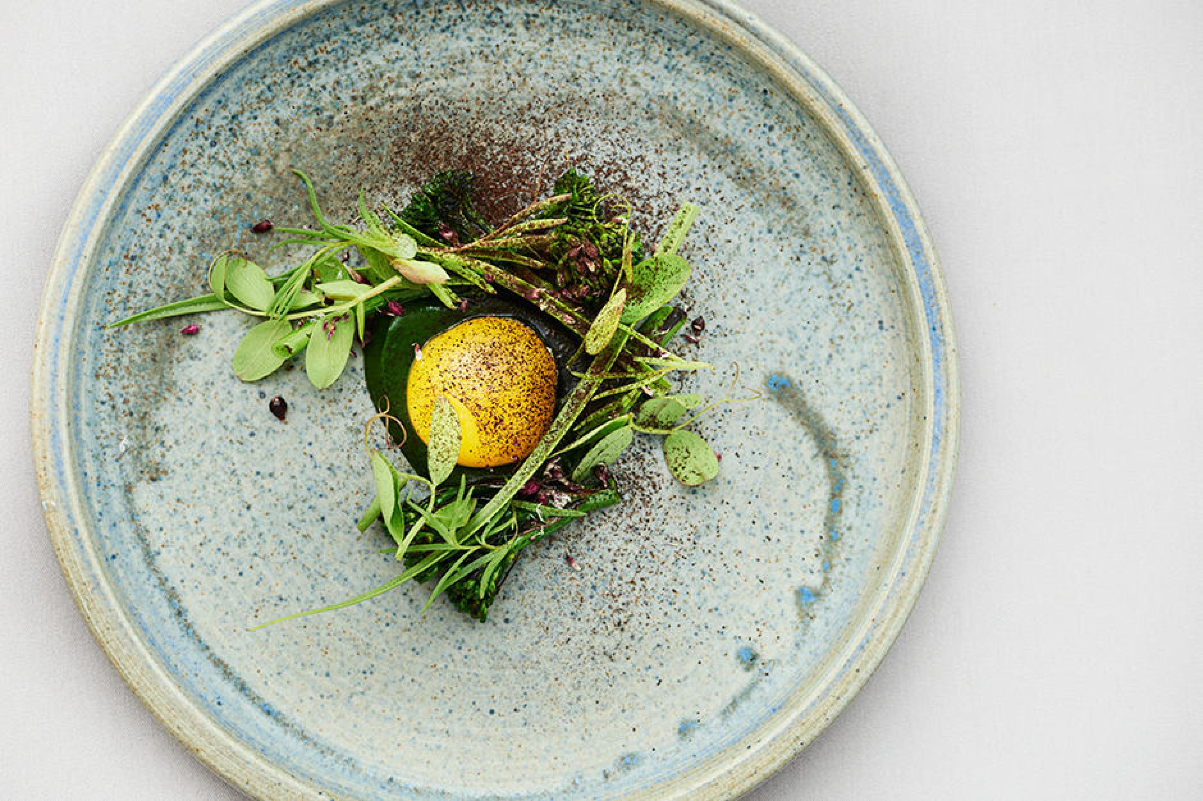 Best Copenhagen Restaurants