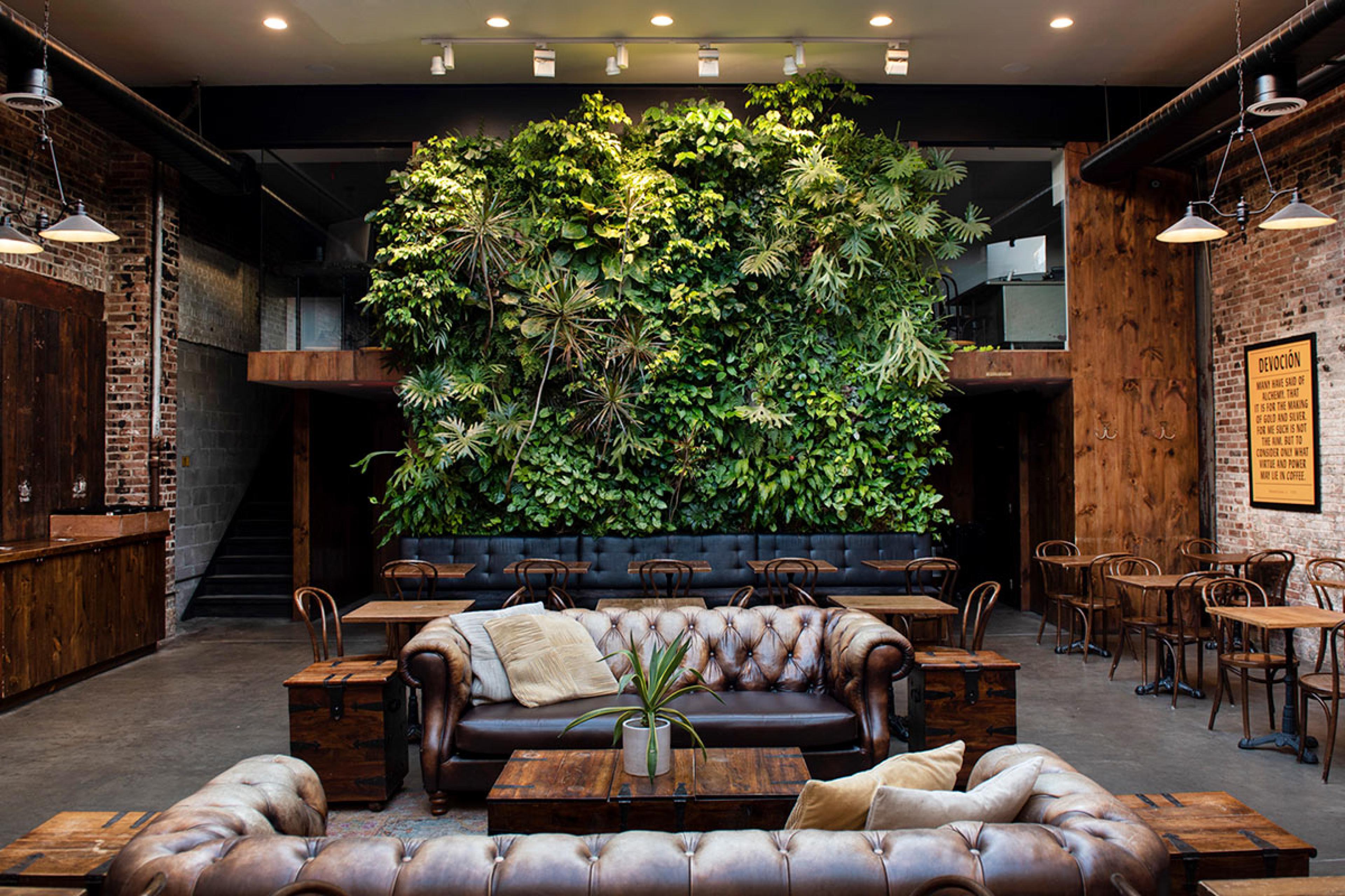 Devocion coffee store