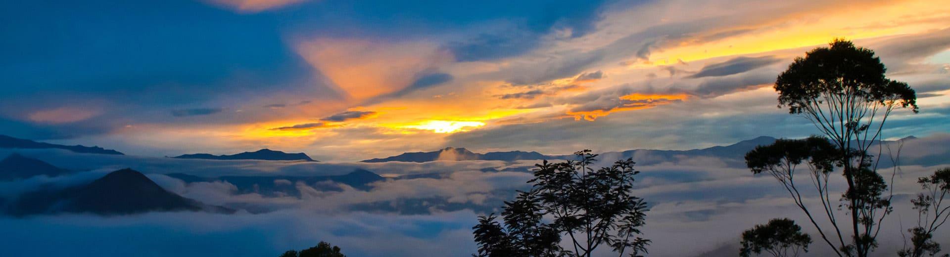Ecuador Shopping Guide | Best Stores Curated by Indagare
