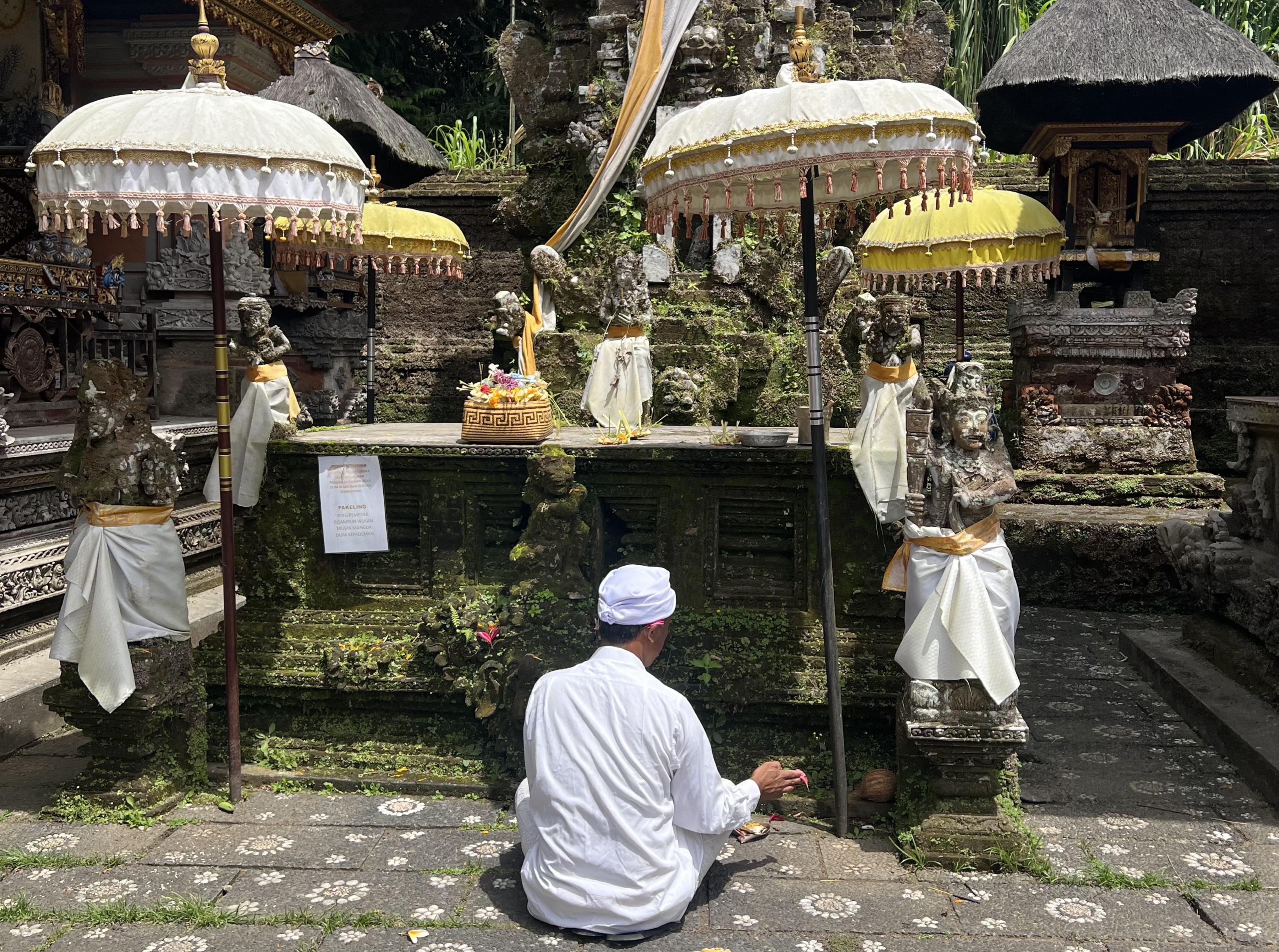 Things to Do In Bali