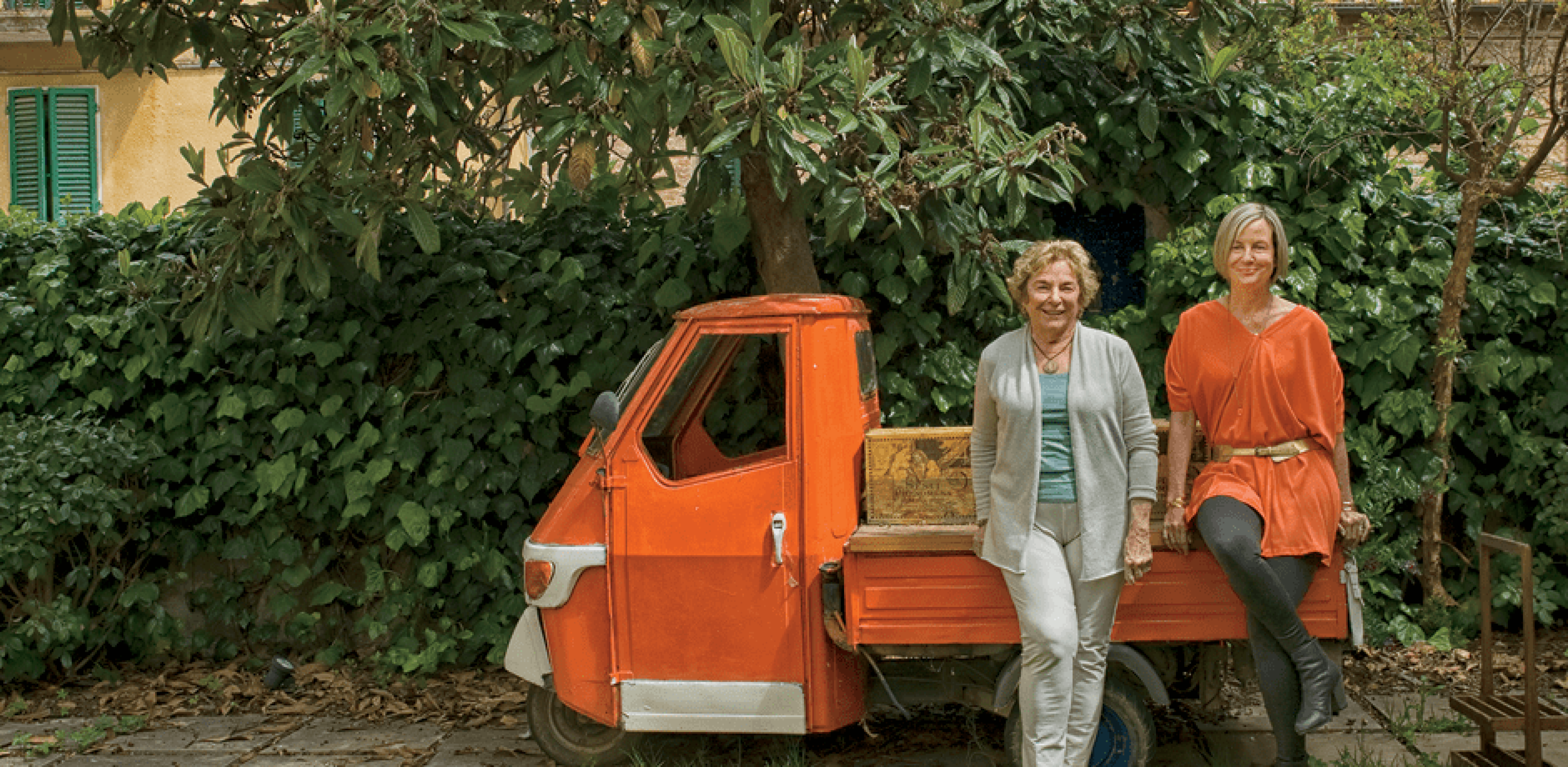 Frances Mayes, Author