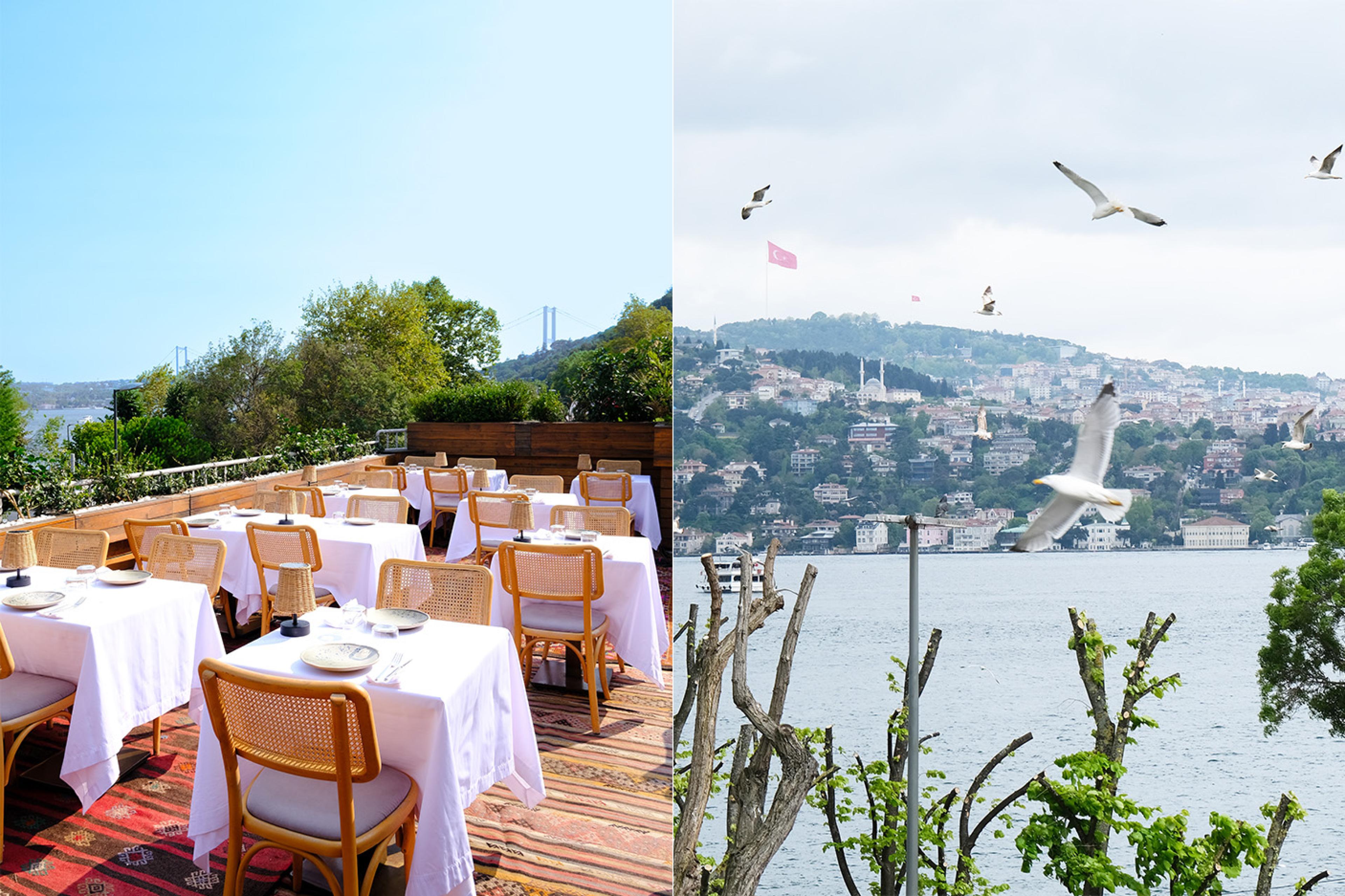 Istanbul Turkey Restaurants