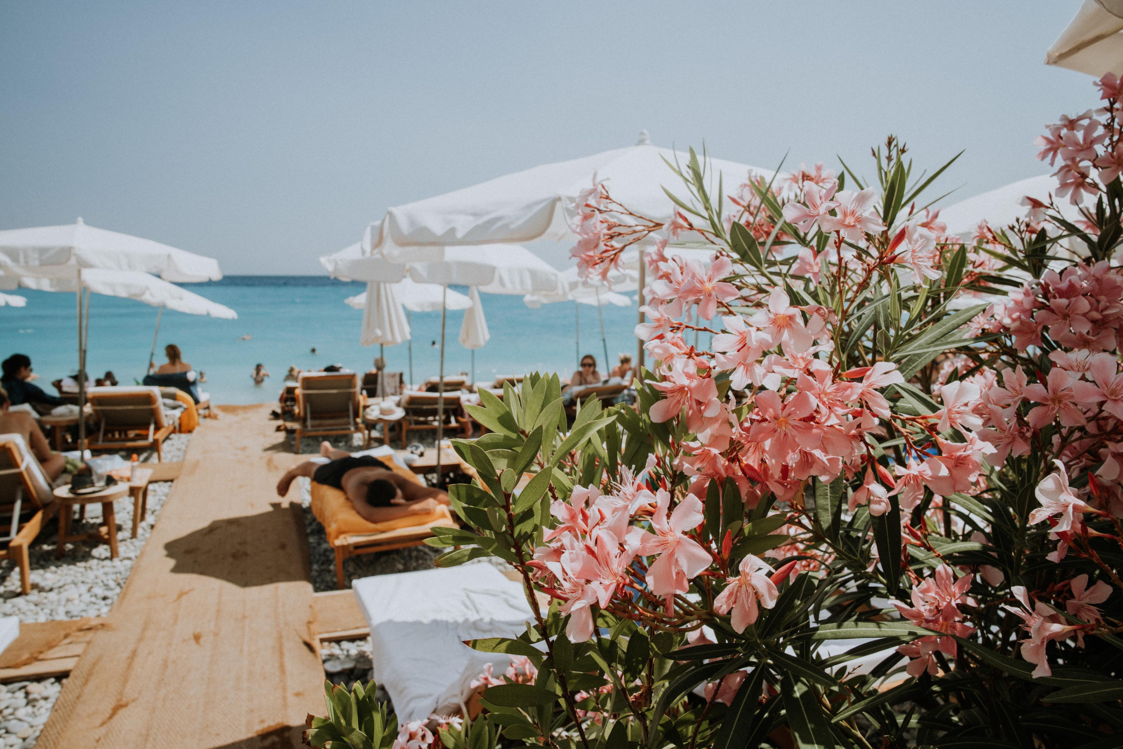 Best French Riviera Restaurants