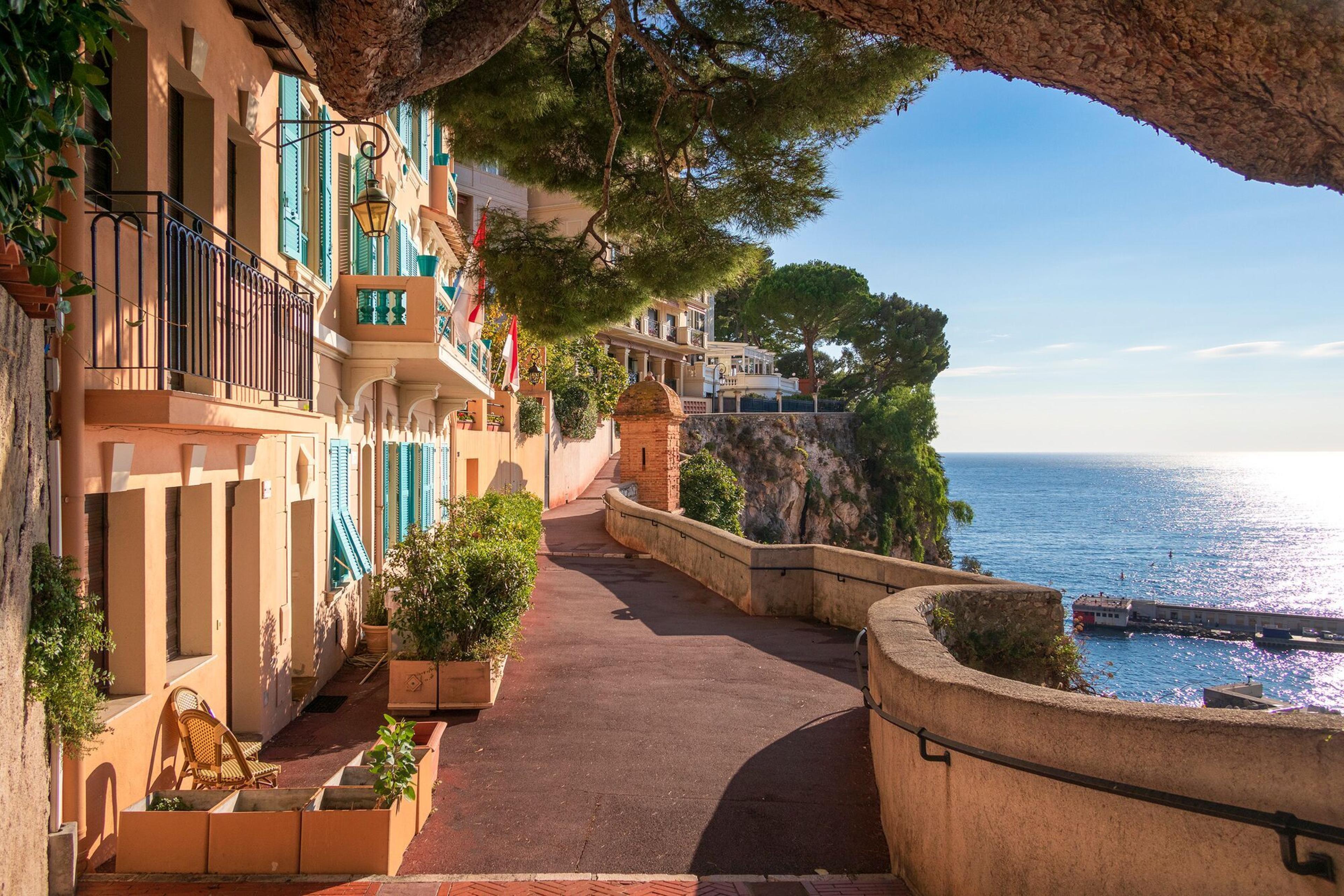 Monte-Carlo Guided Tour