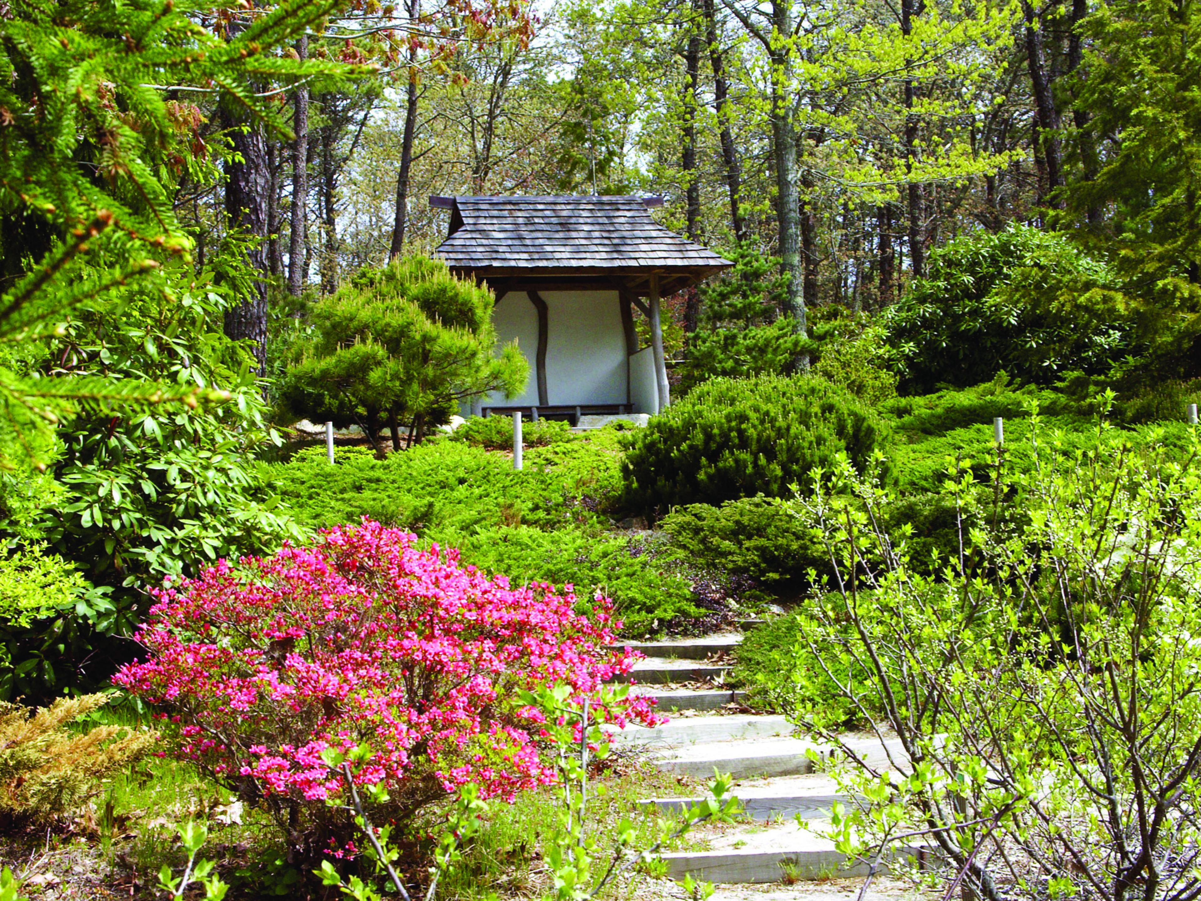 Things to Do In Martha’s Vineyard | Top Attractions Curated by Indagare