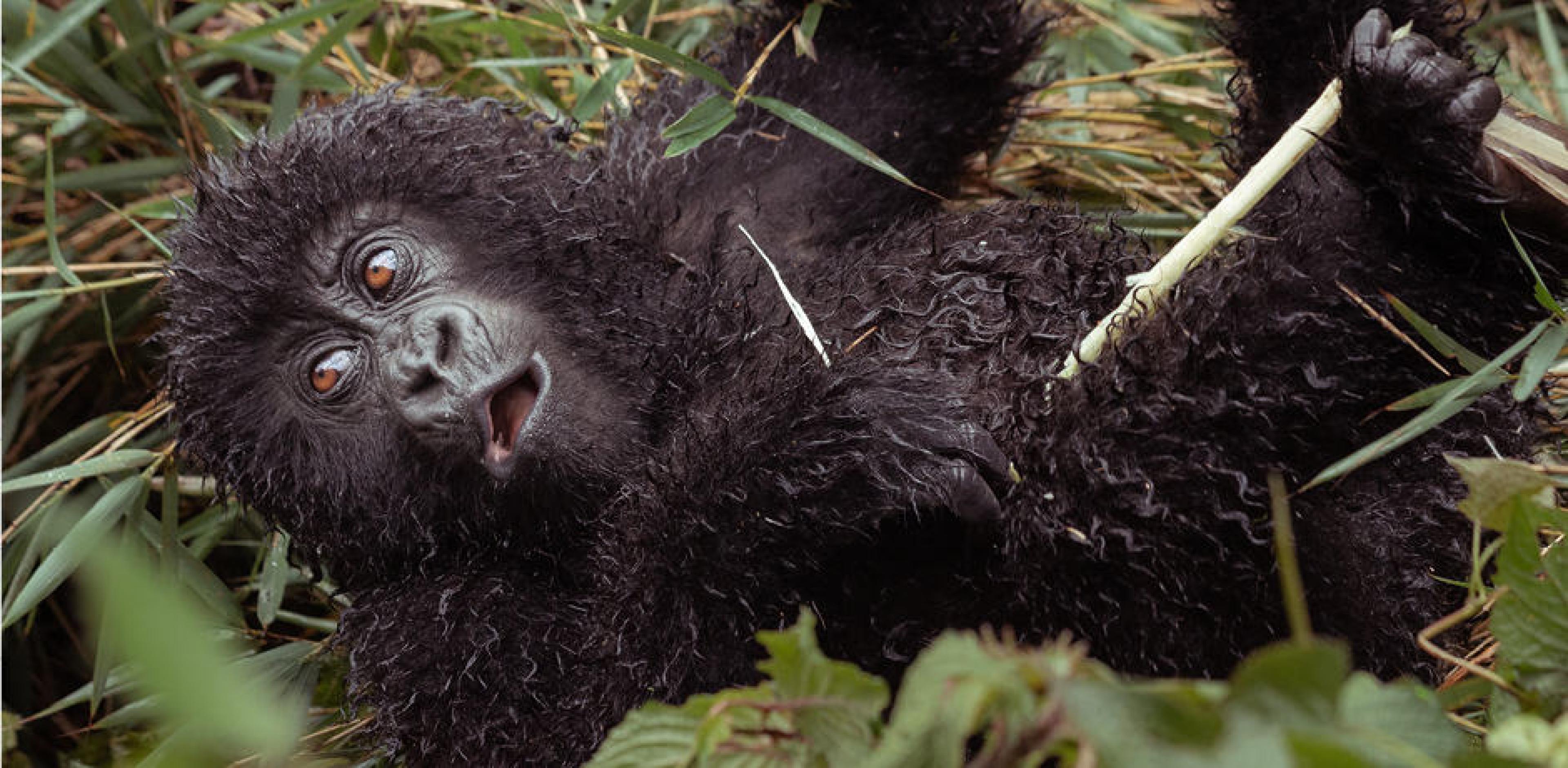 Rwanda Inspiration: Best Places to Stay, Eat and Explore