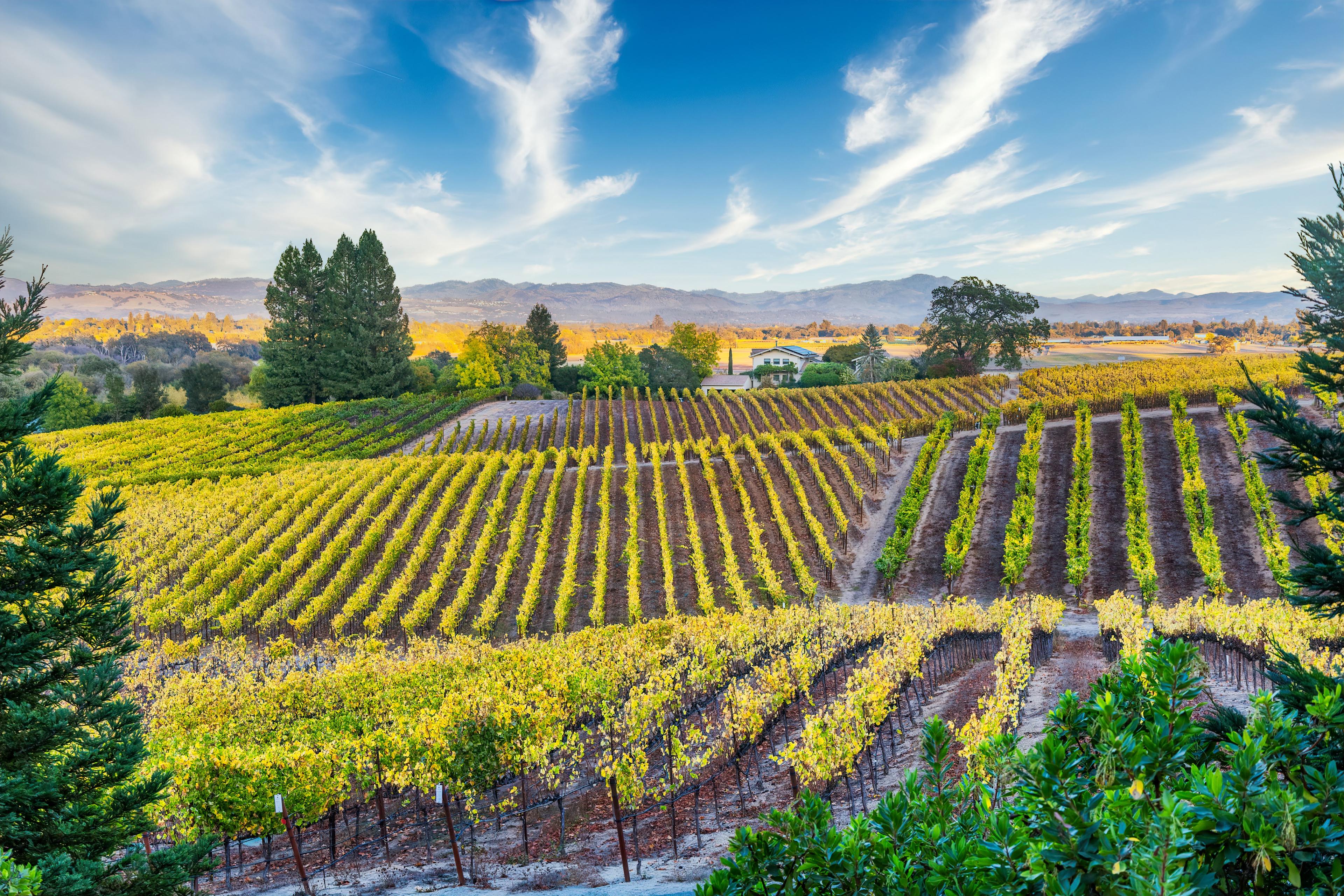 Things to Do In Sonoma