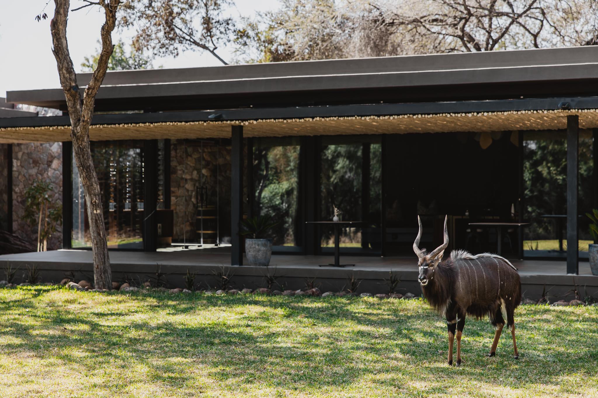 Tanda Tula | Indagare Travel