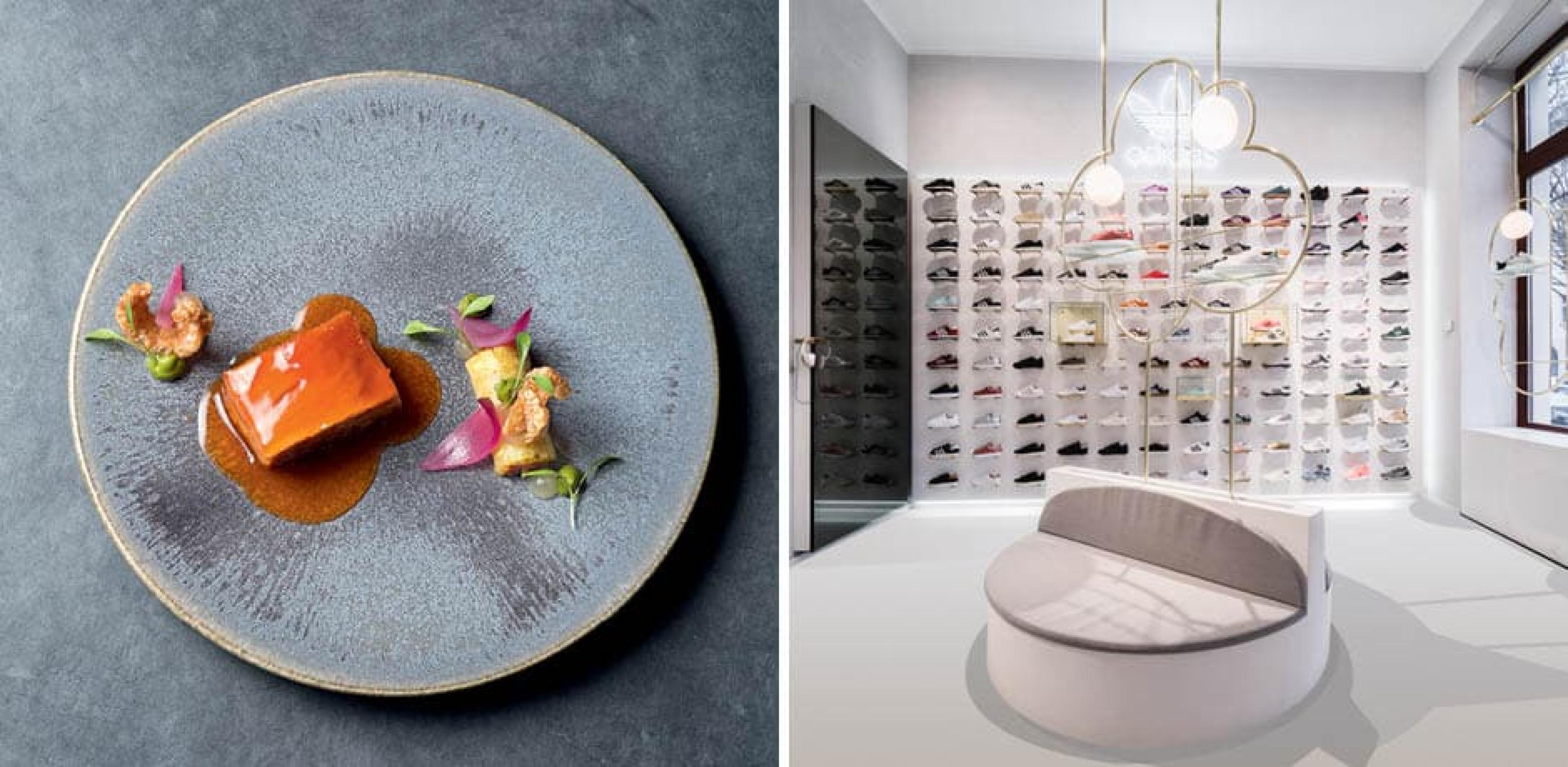 Polly Paper - Environmentally friendly stationery