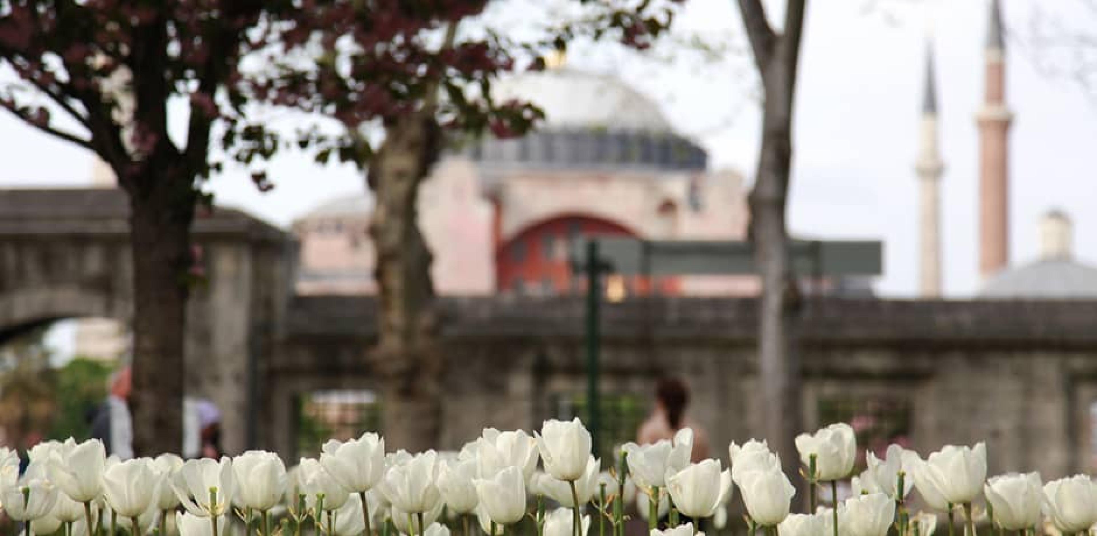 Istanbul Inspiration: Best Places to Stay, Eat and Explore