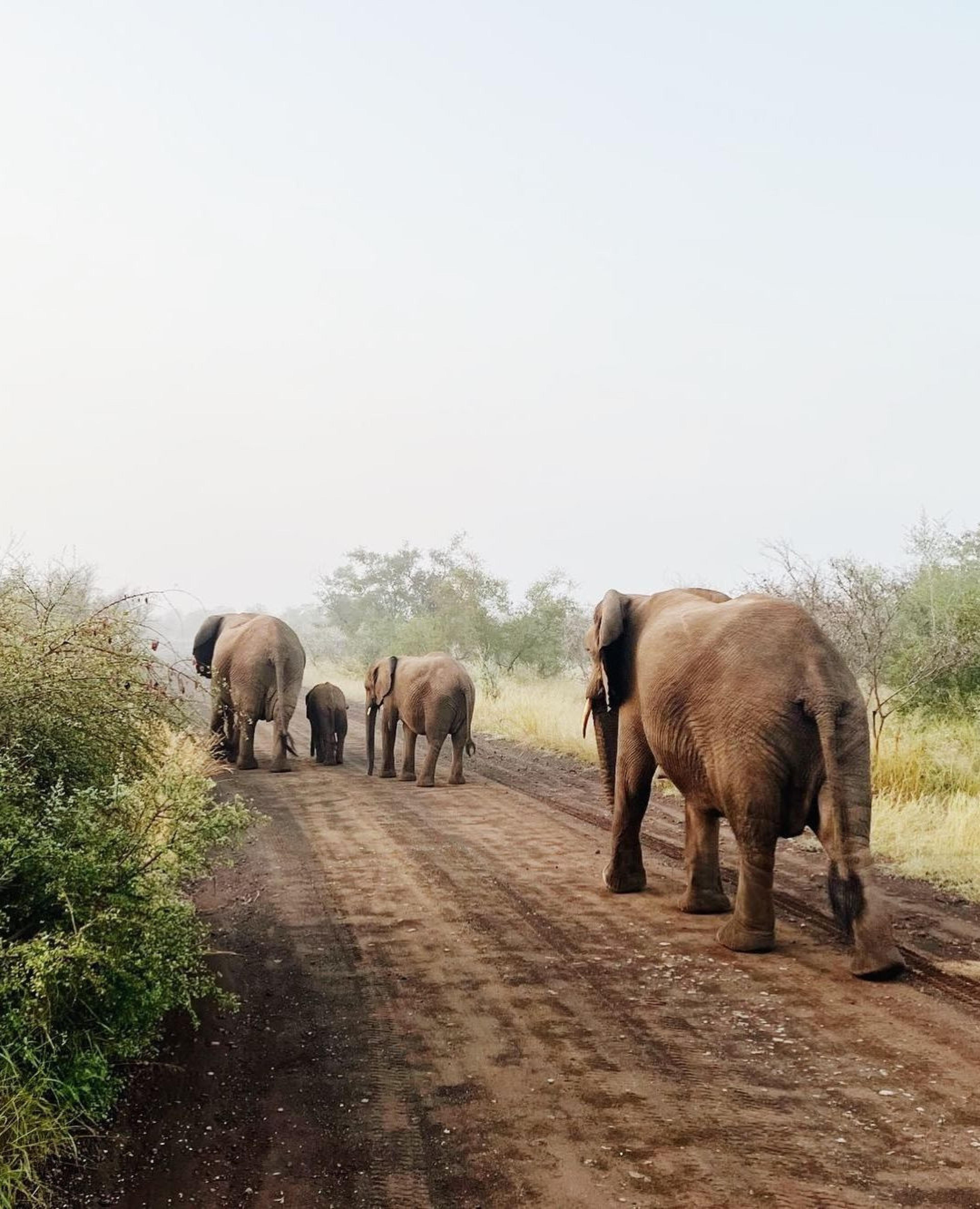 Where to Go in 2025? Indagare’s Guide to Travel Trends and Destinations