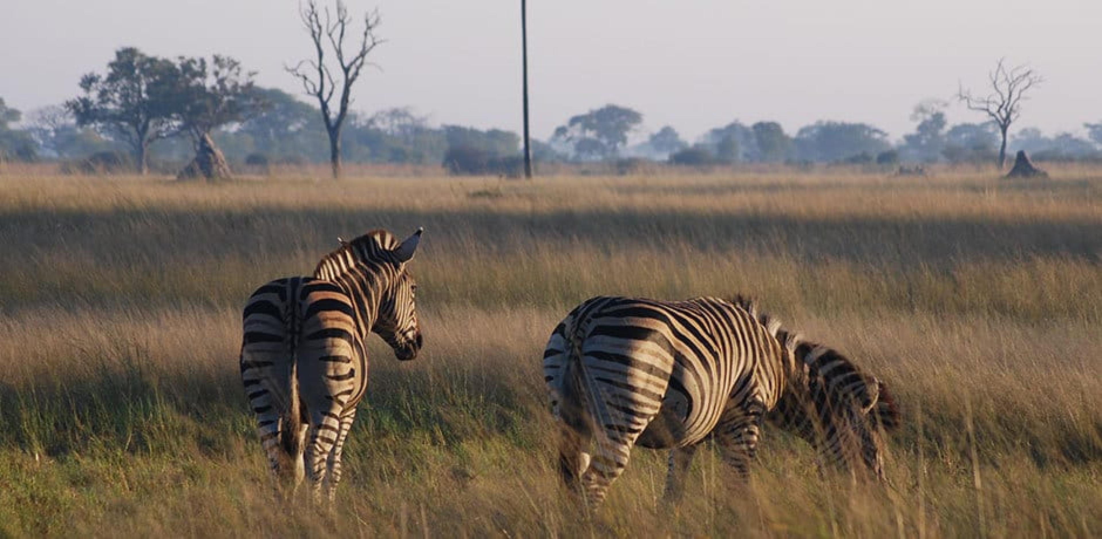 Zimbabwe Inspiration: Best Places to Stay, Eat and Explore