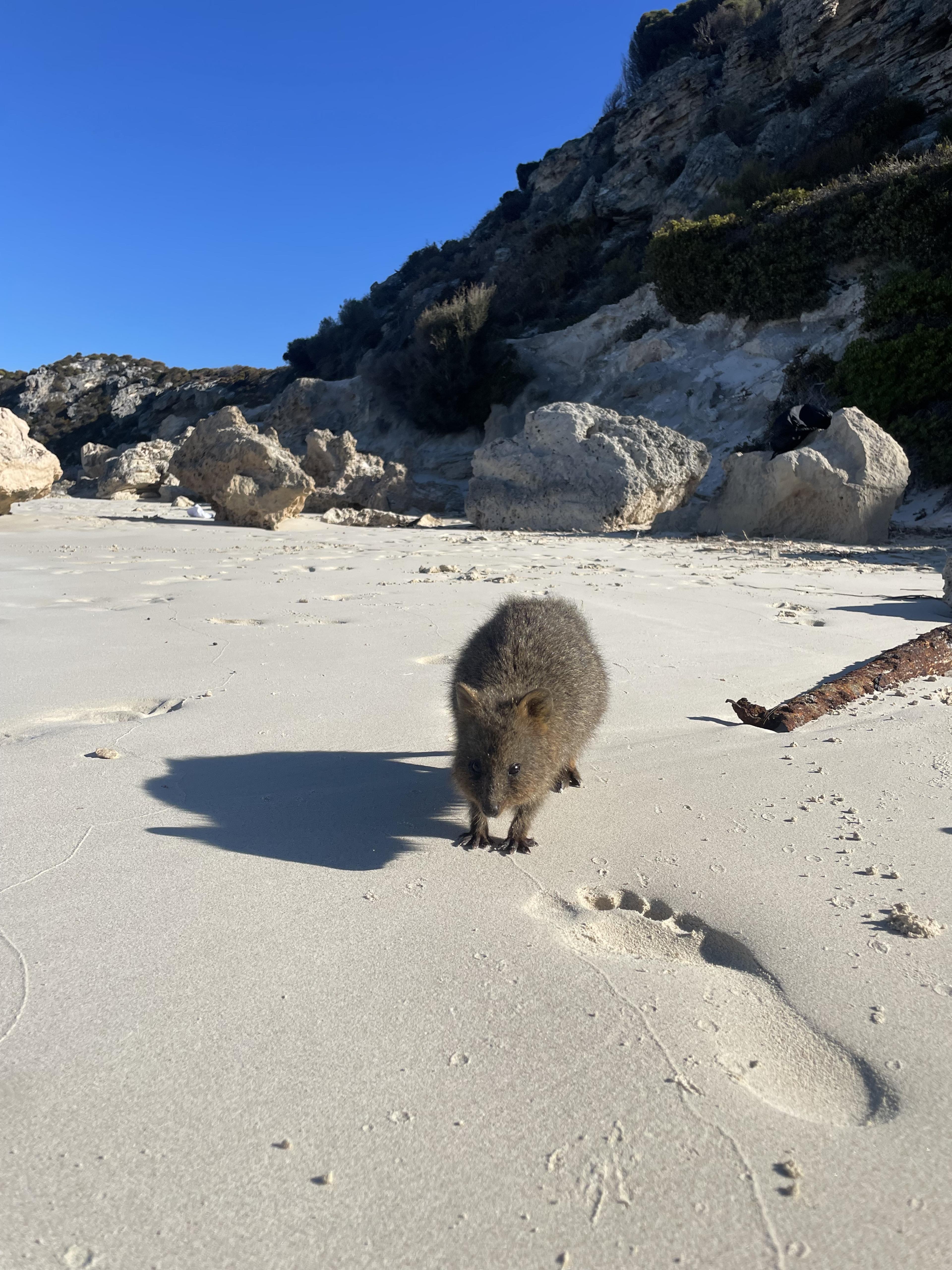 Things to Do In Australia