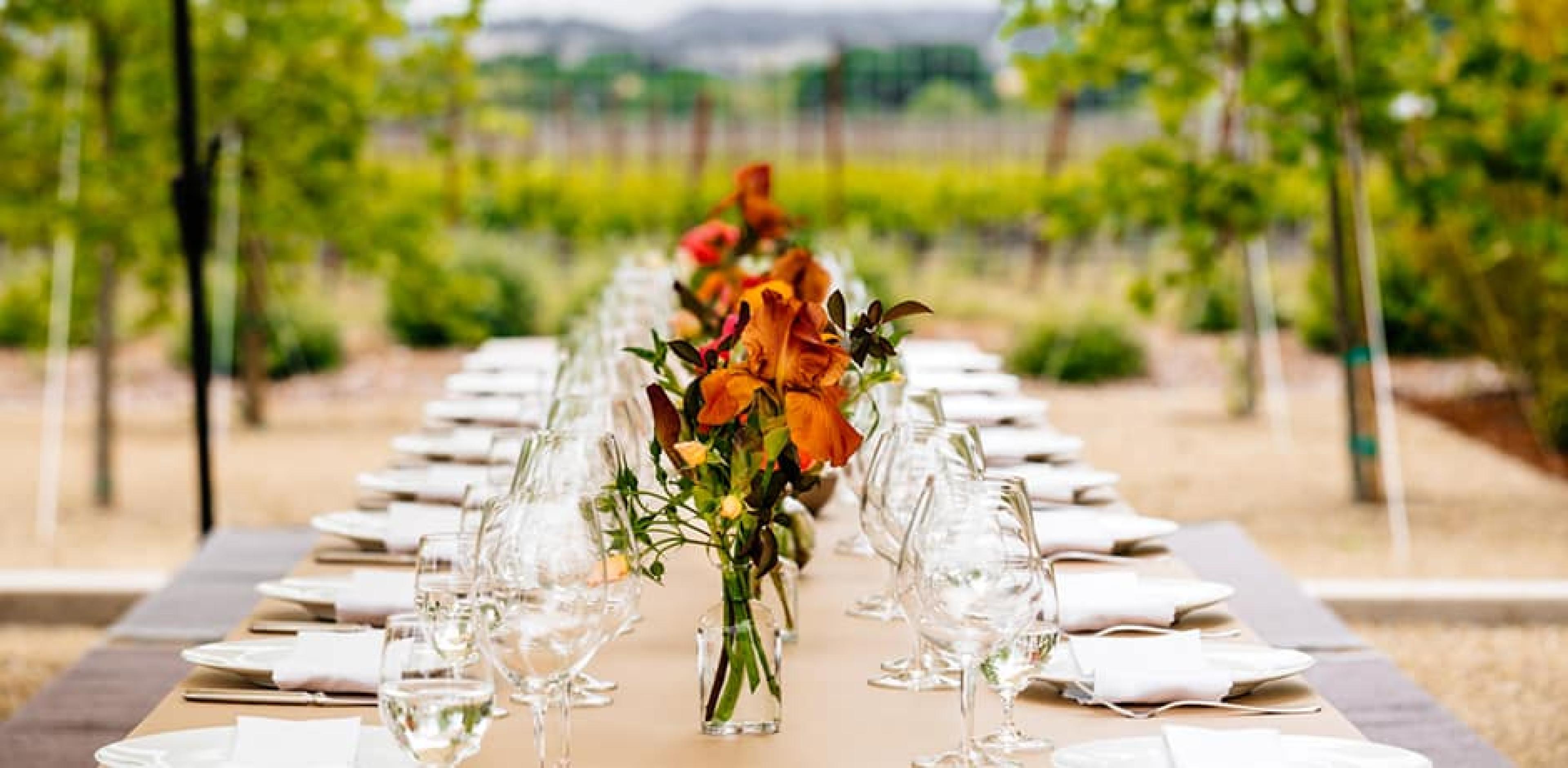 Napa Valley Inspiration: Best Places to Stay, Eat and Explore