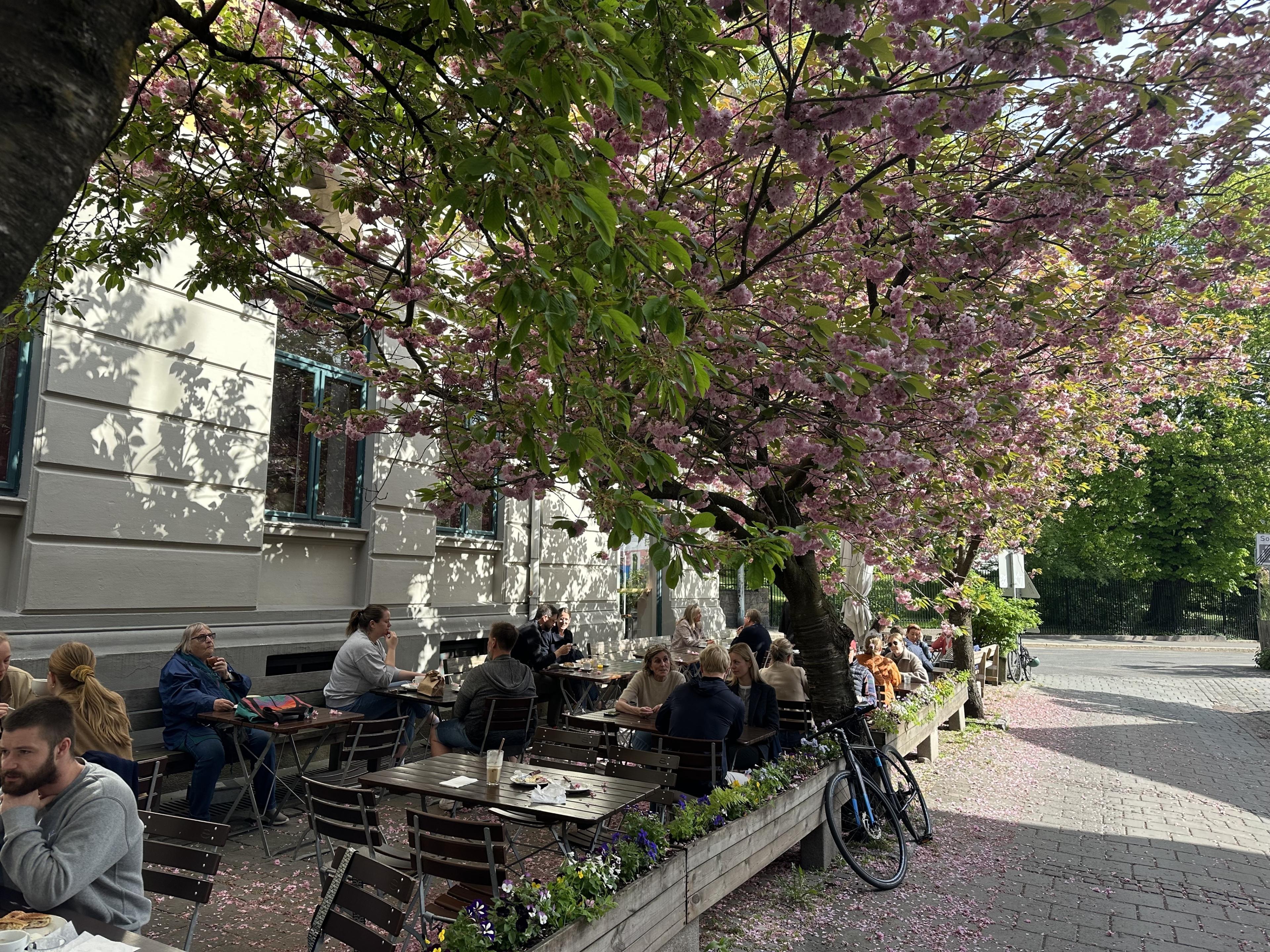 Best Oslo Restaurants