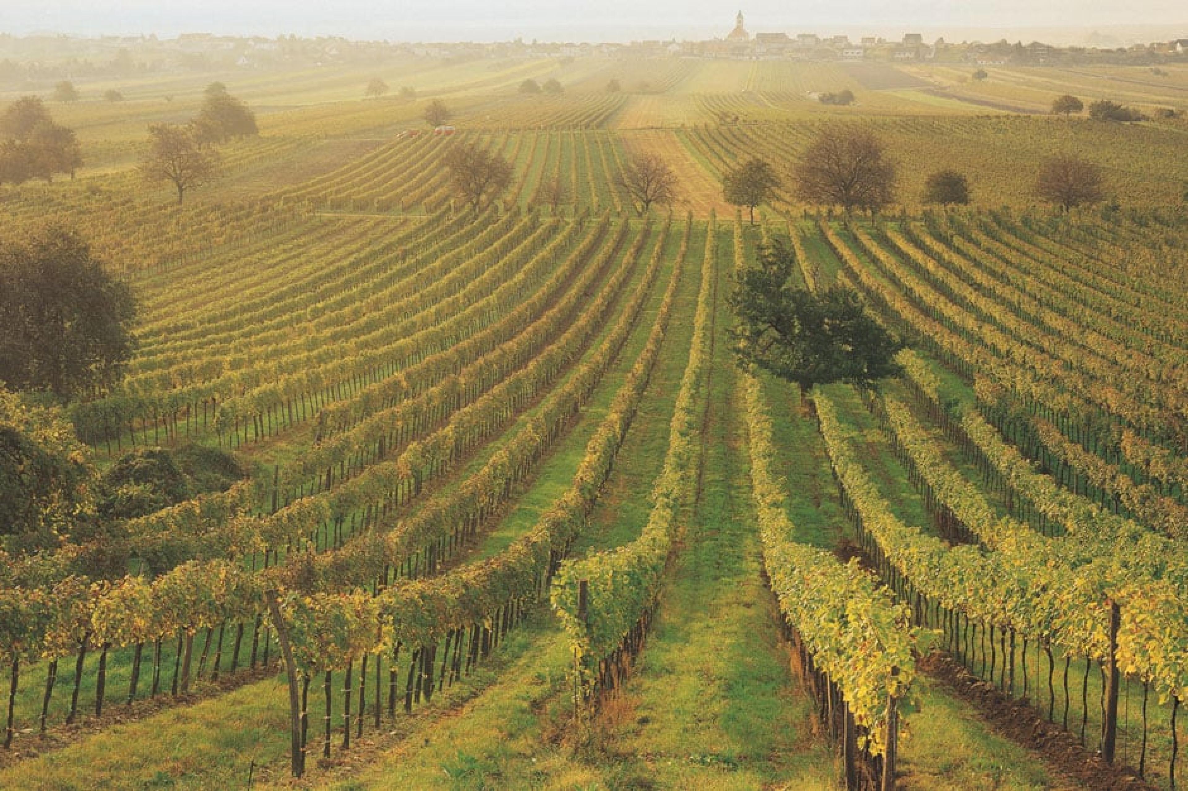 Things to Do In Austria | Top Attractions Curated by Indagare