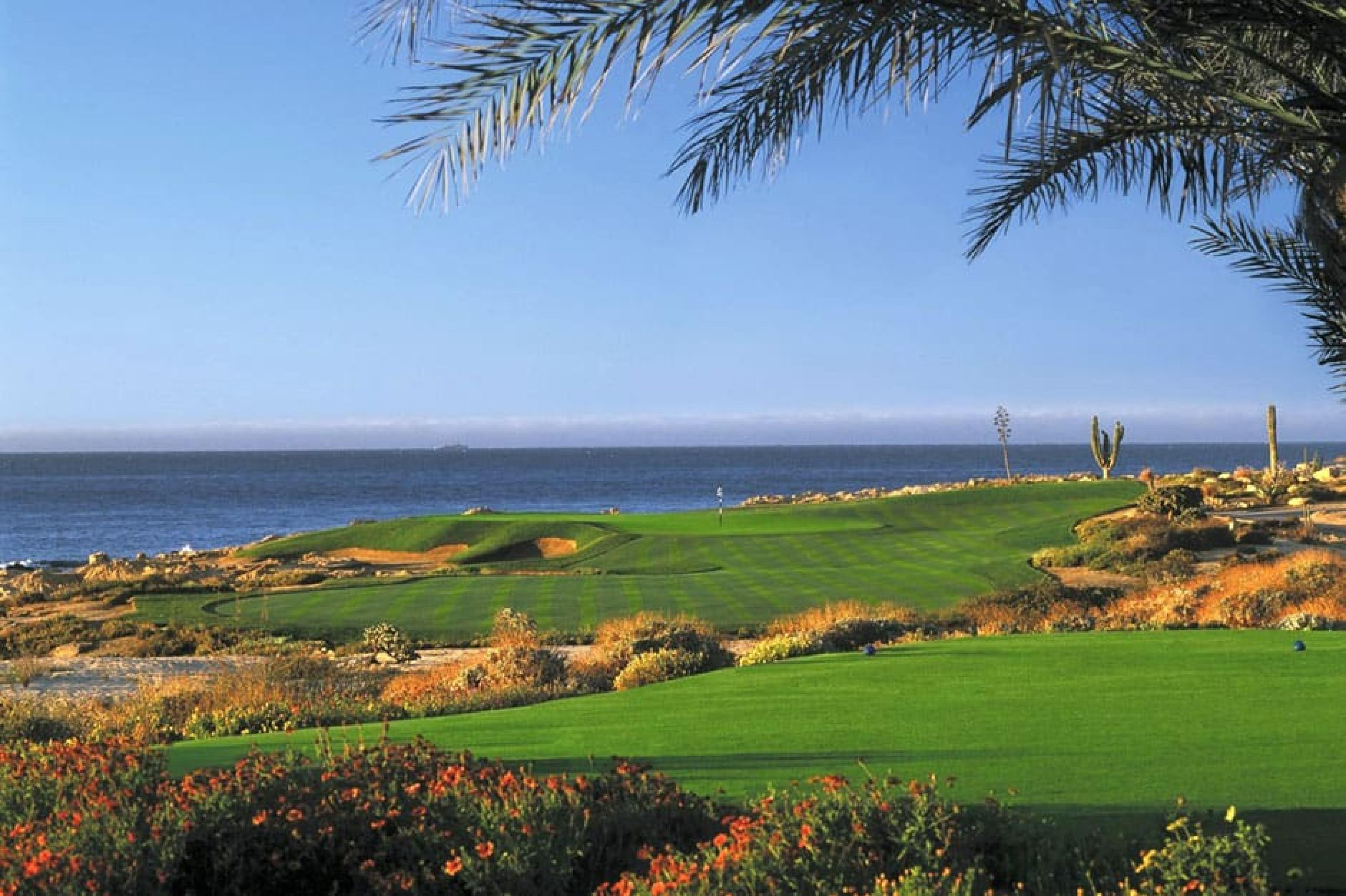 Things to Do In Los Cabos