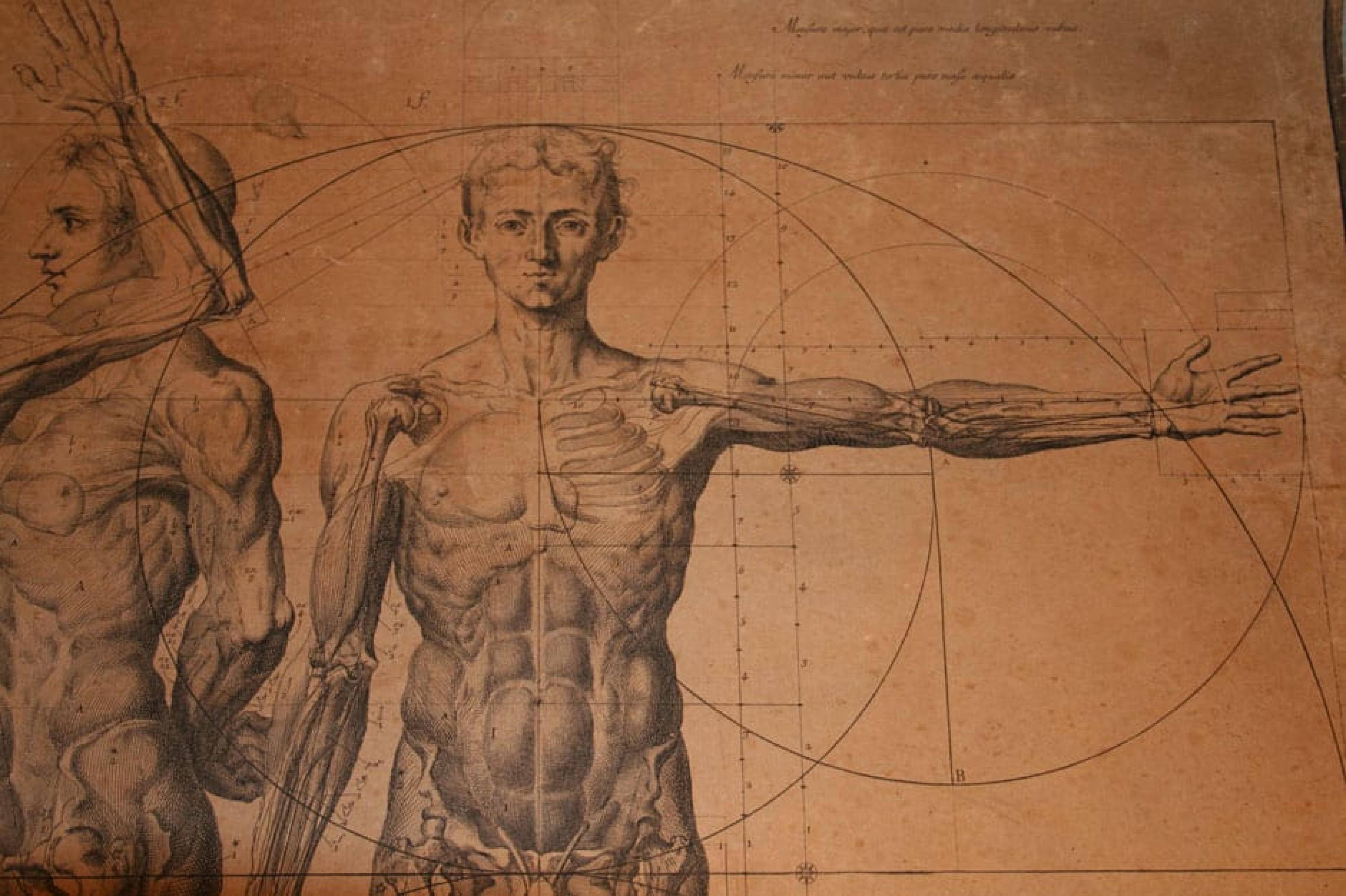 Amsterdam Shopping Guide