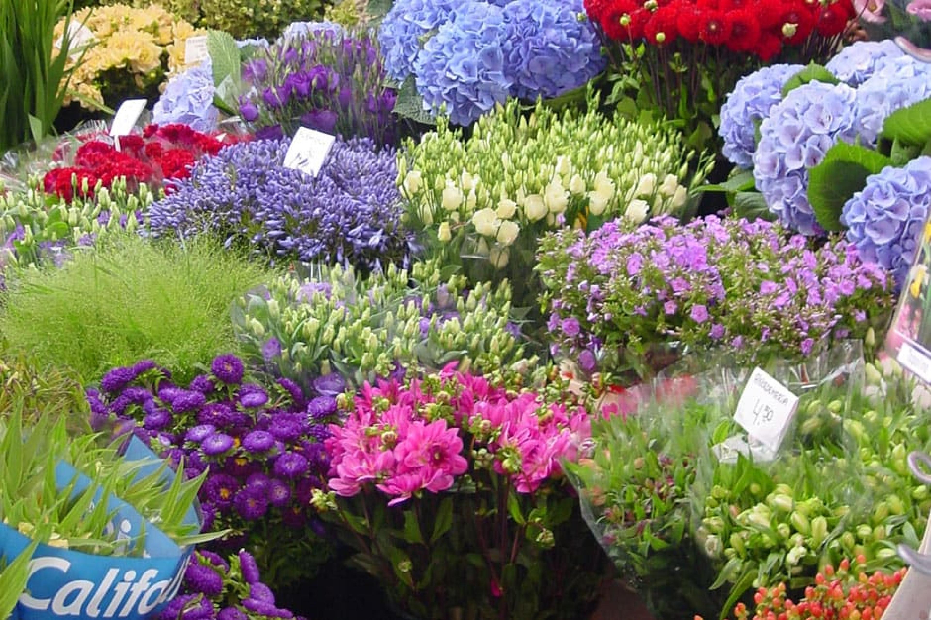 Amsterdam Shopping Guide | Best Stores Curated by Indagare
