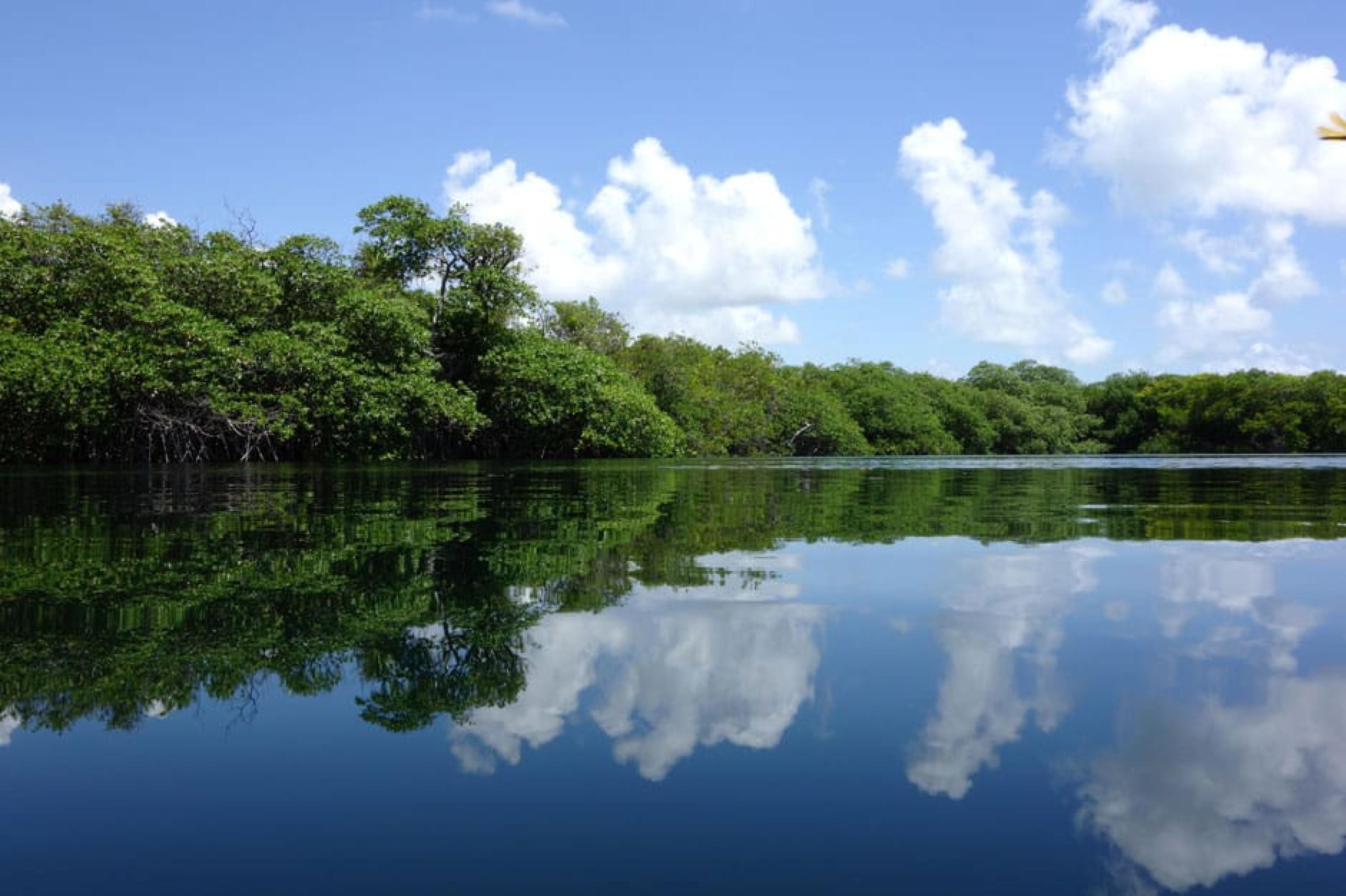Things to Do In Tulum | Top Attractions Curated by Indagare