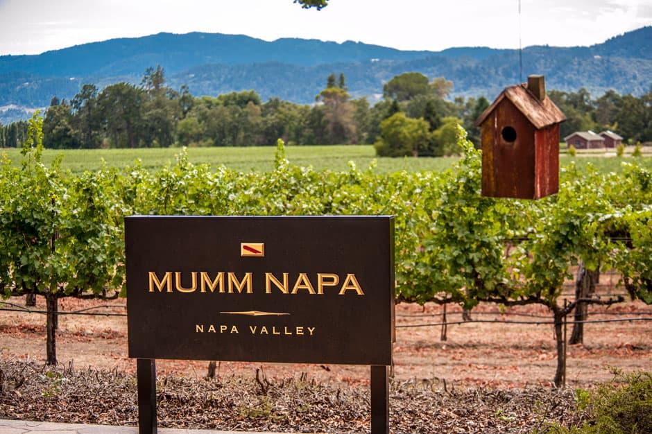 Mumm Napa