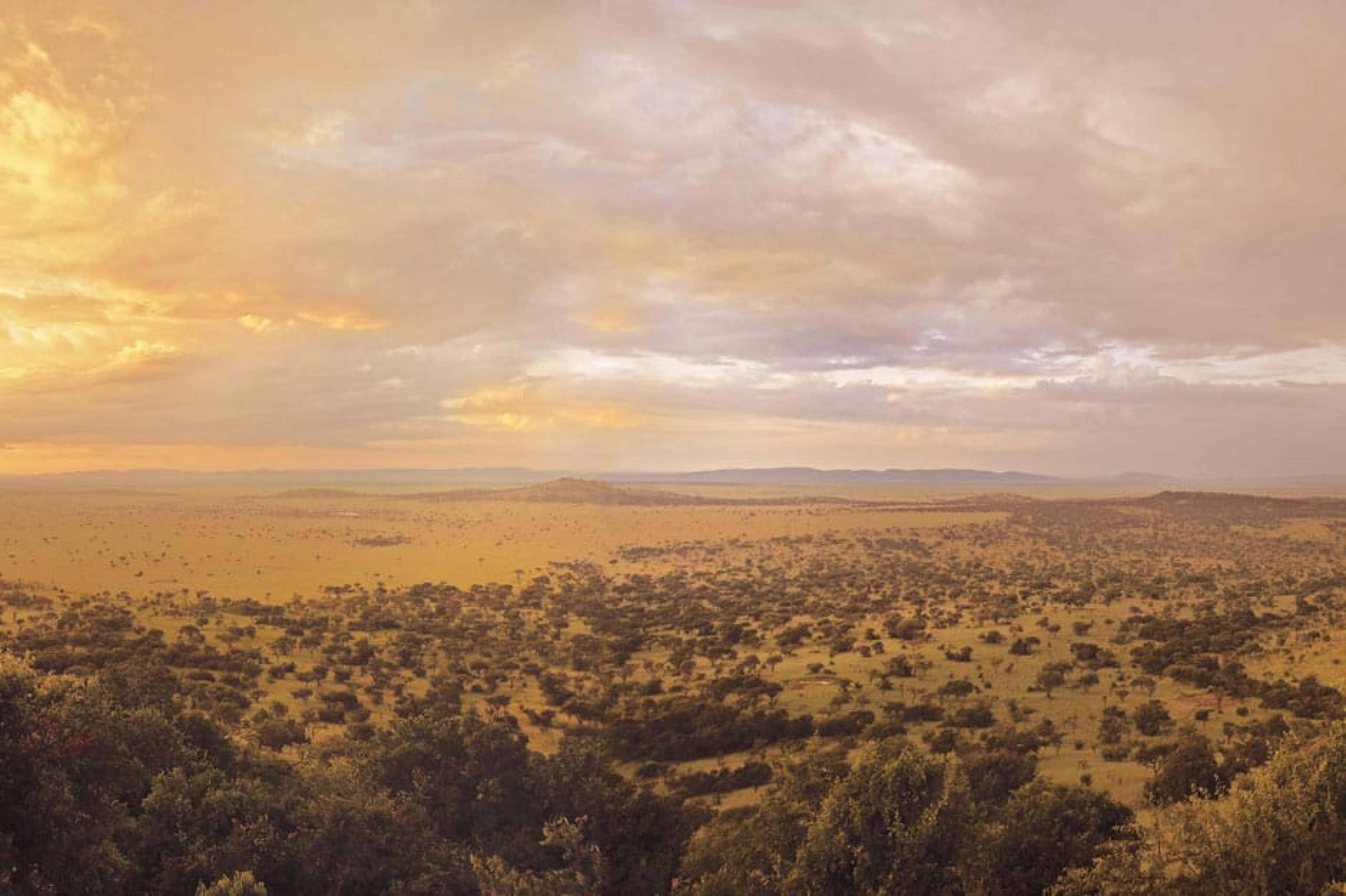 Things to Do In Tanzania